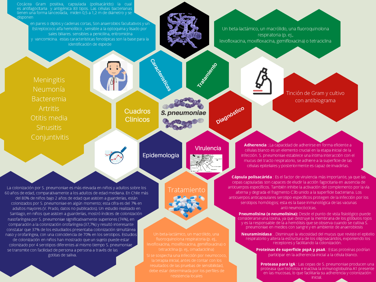 Mapa Mental Microbiologia Notes De Microbiologie Docsity