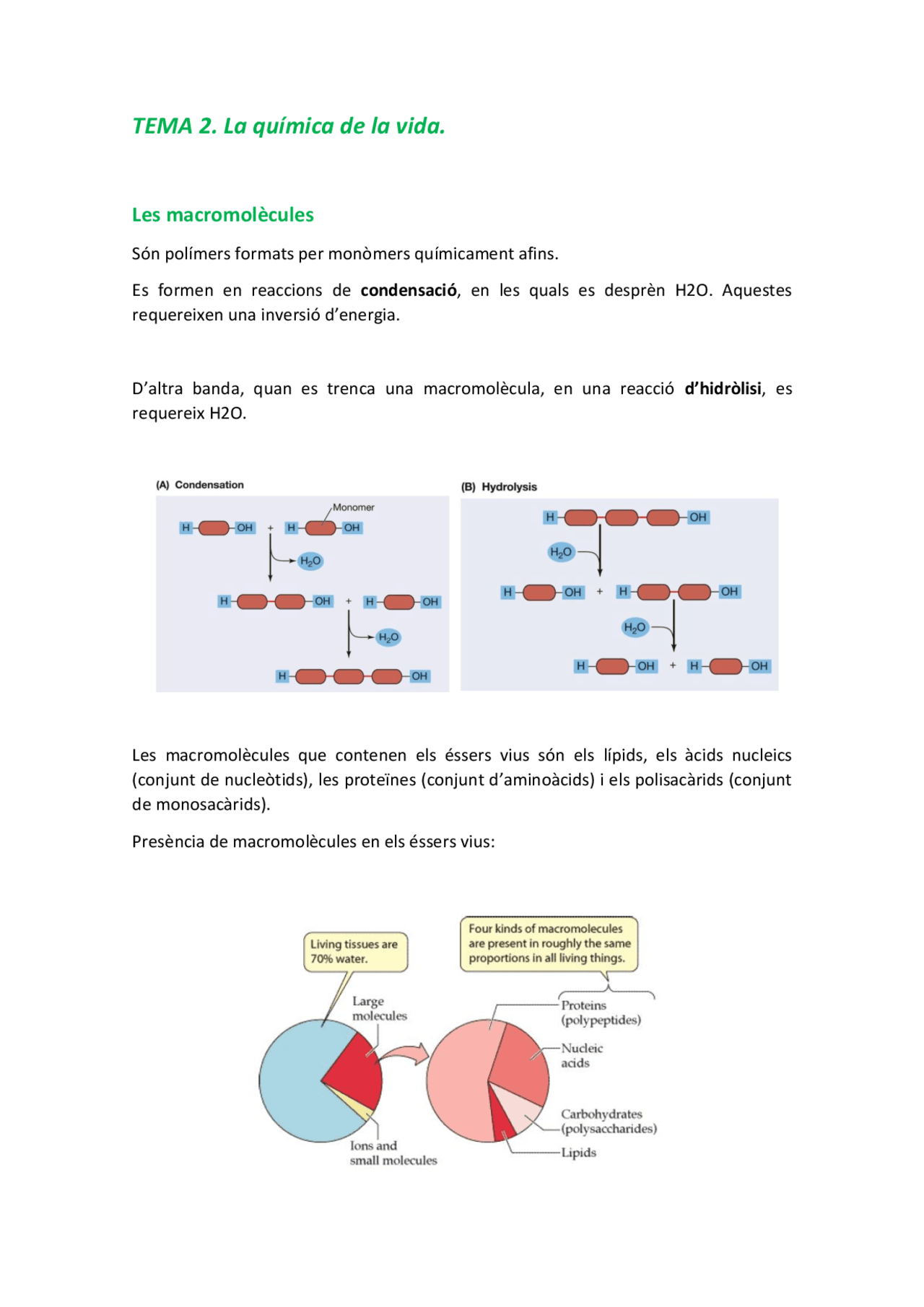 Resum Tema 2 Biologia I Docsity