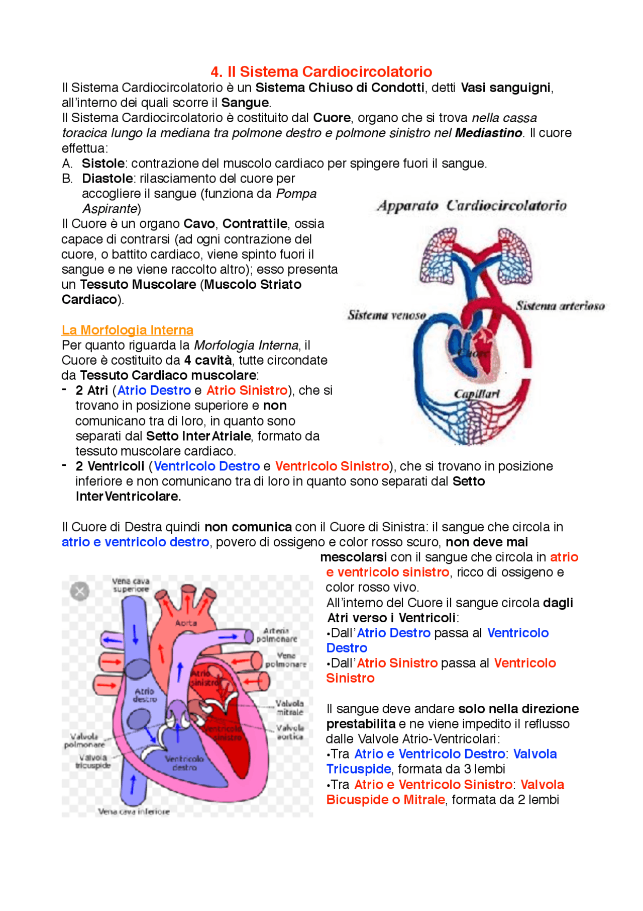 Anatomia Secondo Semestre Scienze Motorie Unicatt Docsity