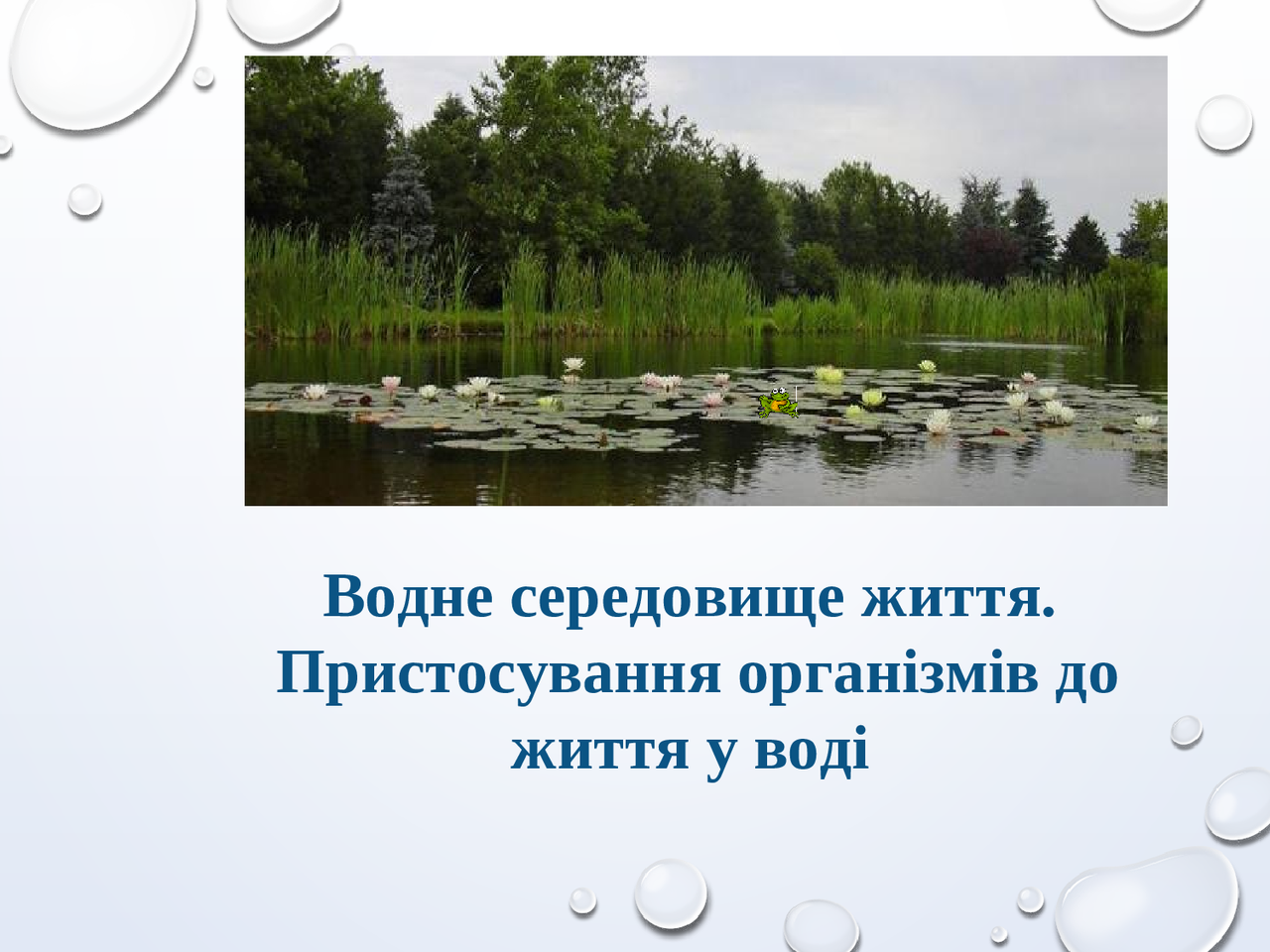 Презентация с биологии Docsity