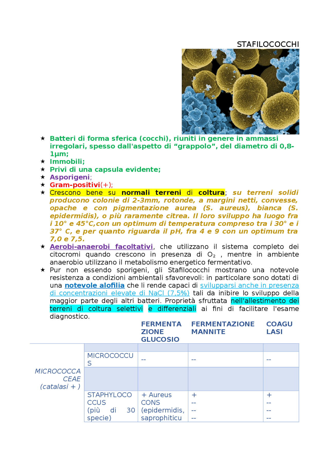 STAFILOCOCCHI microbiologia generale - Docsity