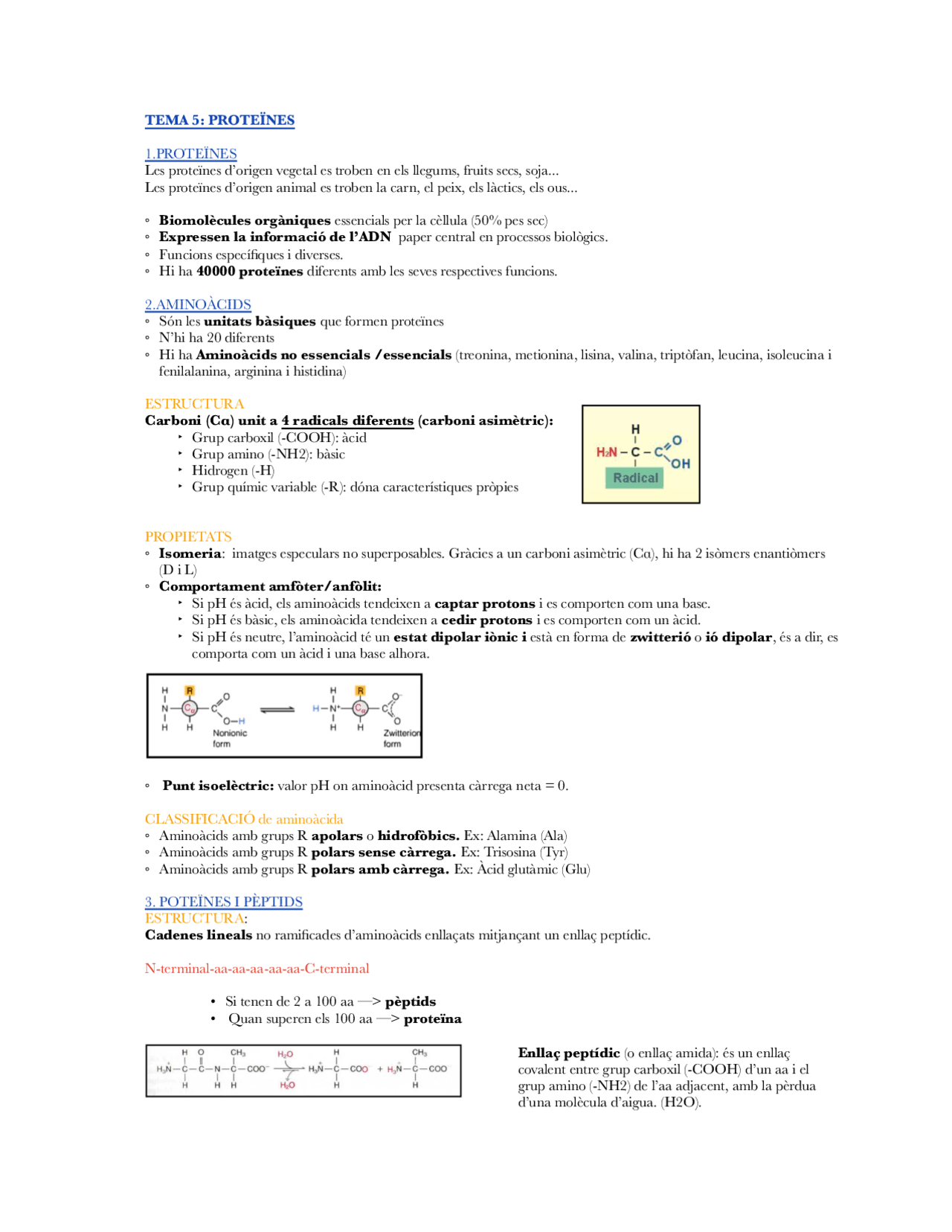 Tema 5 Les Proteïnes Bioquímica Docsity