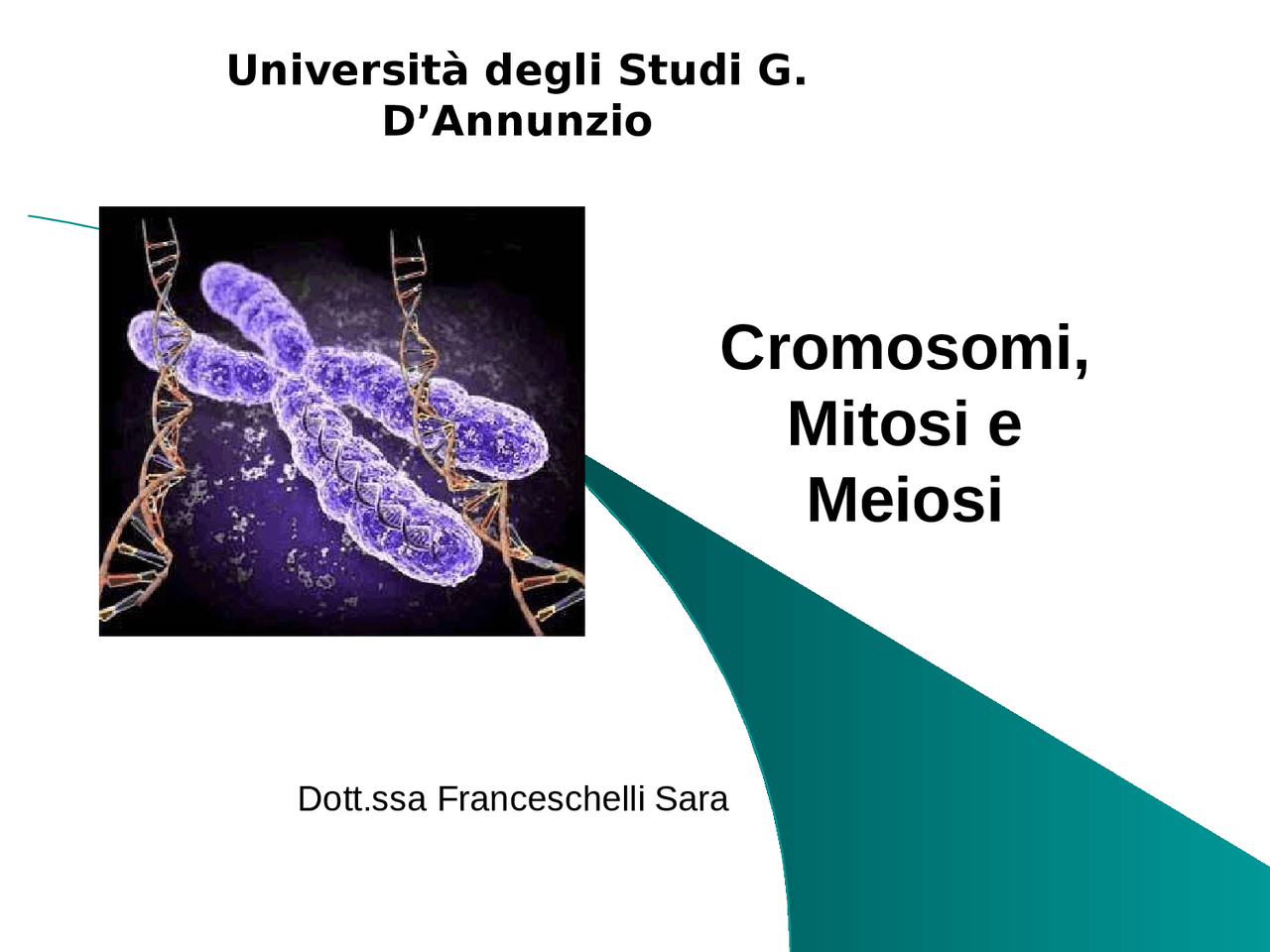 Appunti Di Meiosi Ecc Docsity