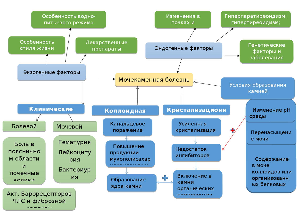 Схема МКБ по урологии Docsity