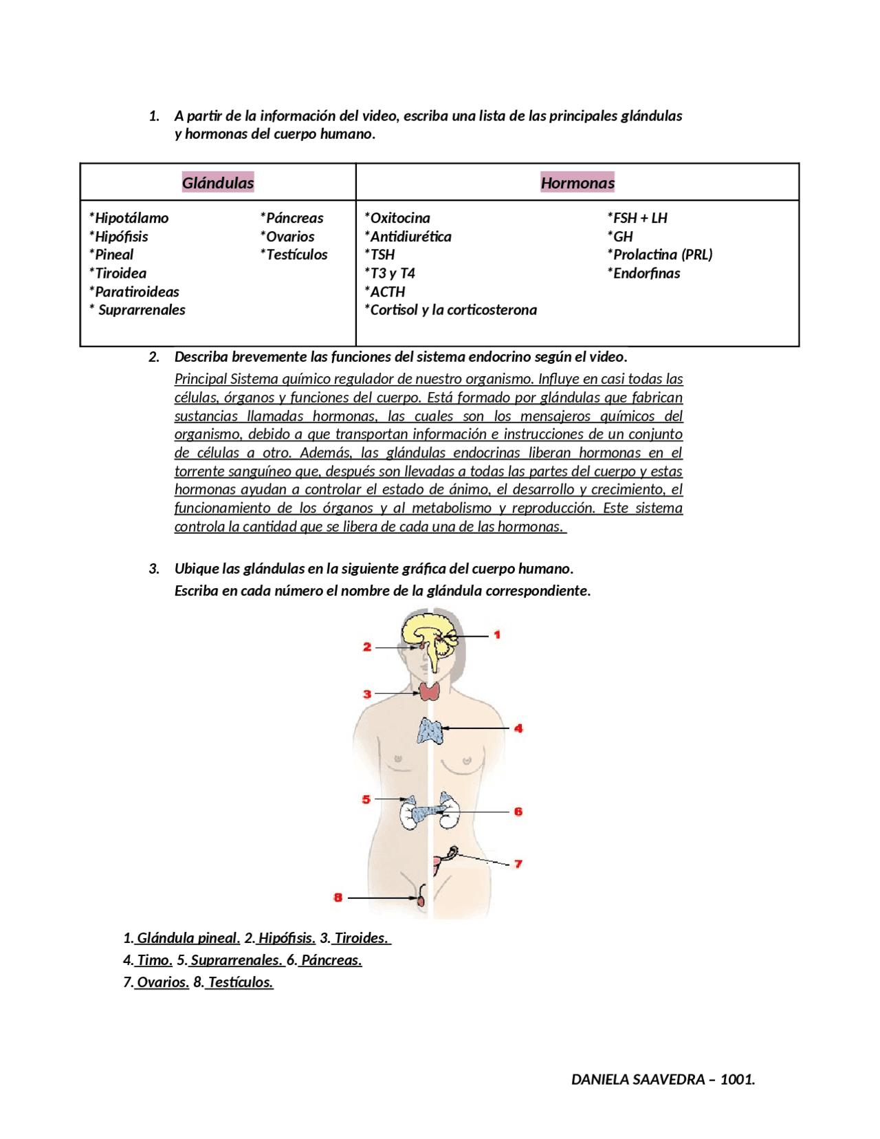 Cuadro del sistema endocrino - Docsity