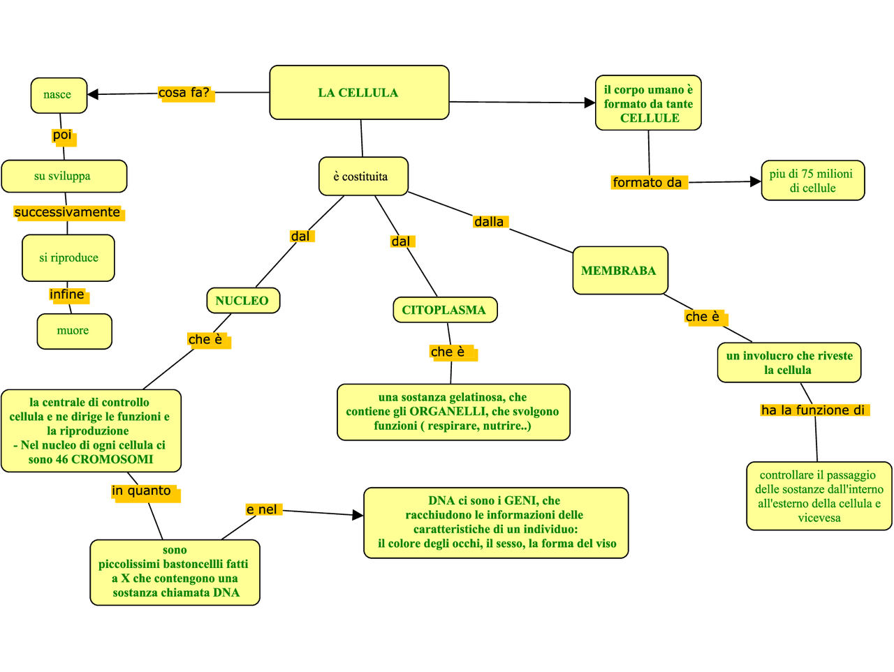 Mappa concettuale la cellula - Docsity