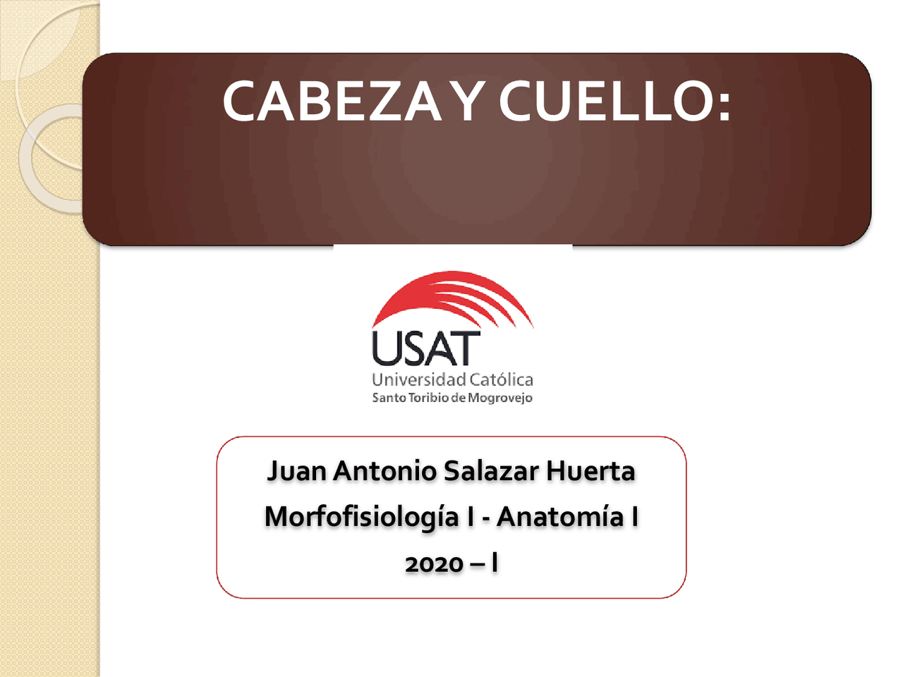 Huesos Del Cráneo Anatomía Diapositivas De Anatomía Docsity