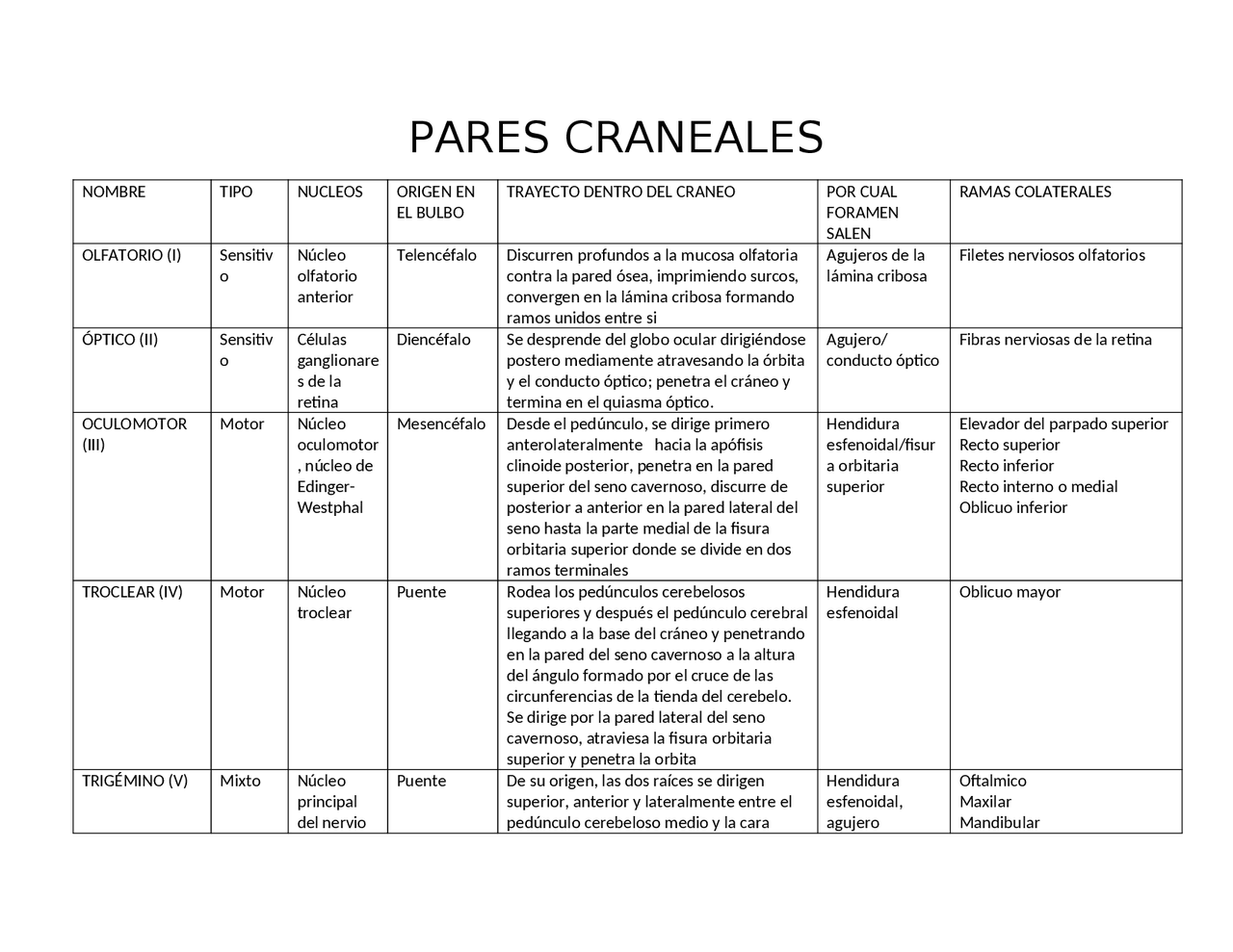 Pares Craneales Docsity