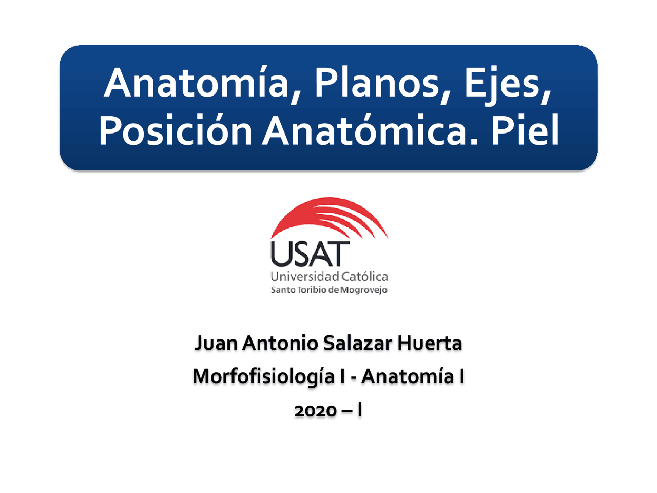 Anatomía Sistema Digestivo Diapositivas De Anatomía Docsity