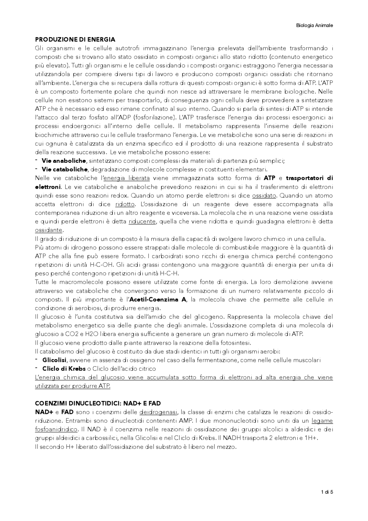Bioenergetica E Produzione Di Energia Docsity