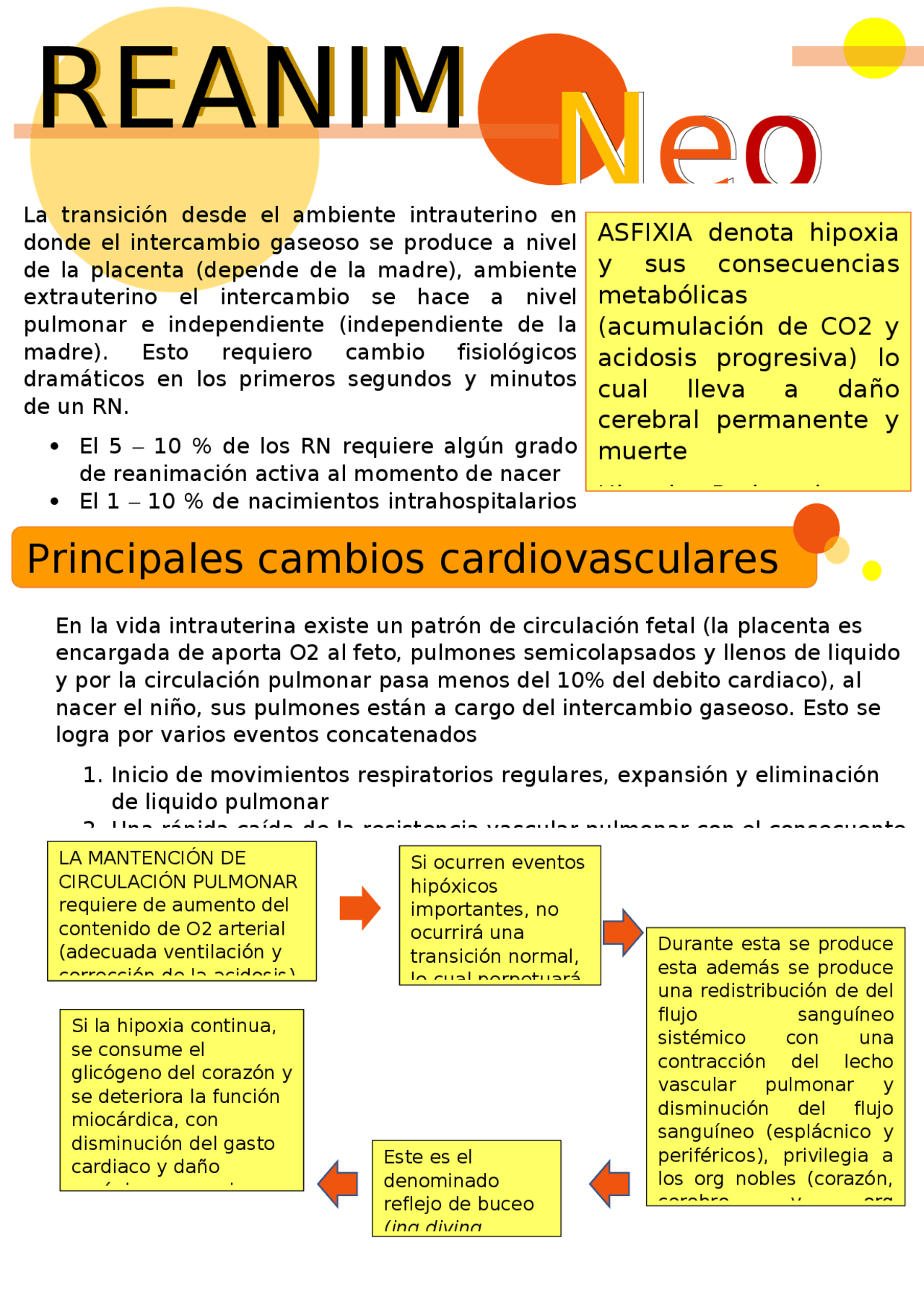 Reanimacion Neonatal Docsity
