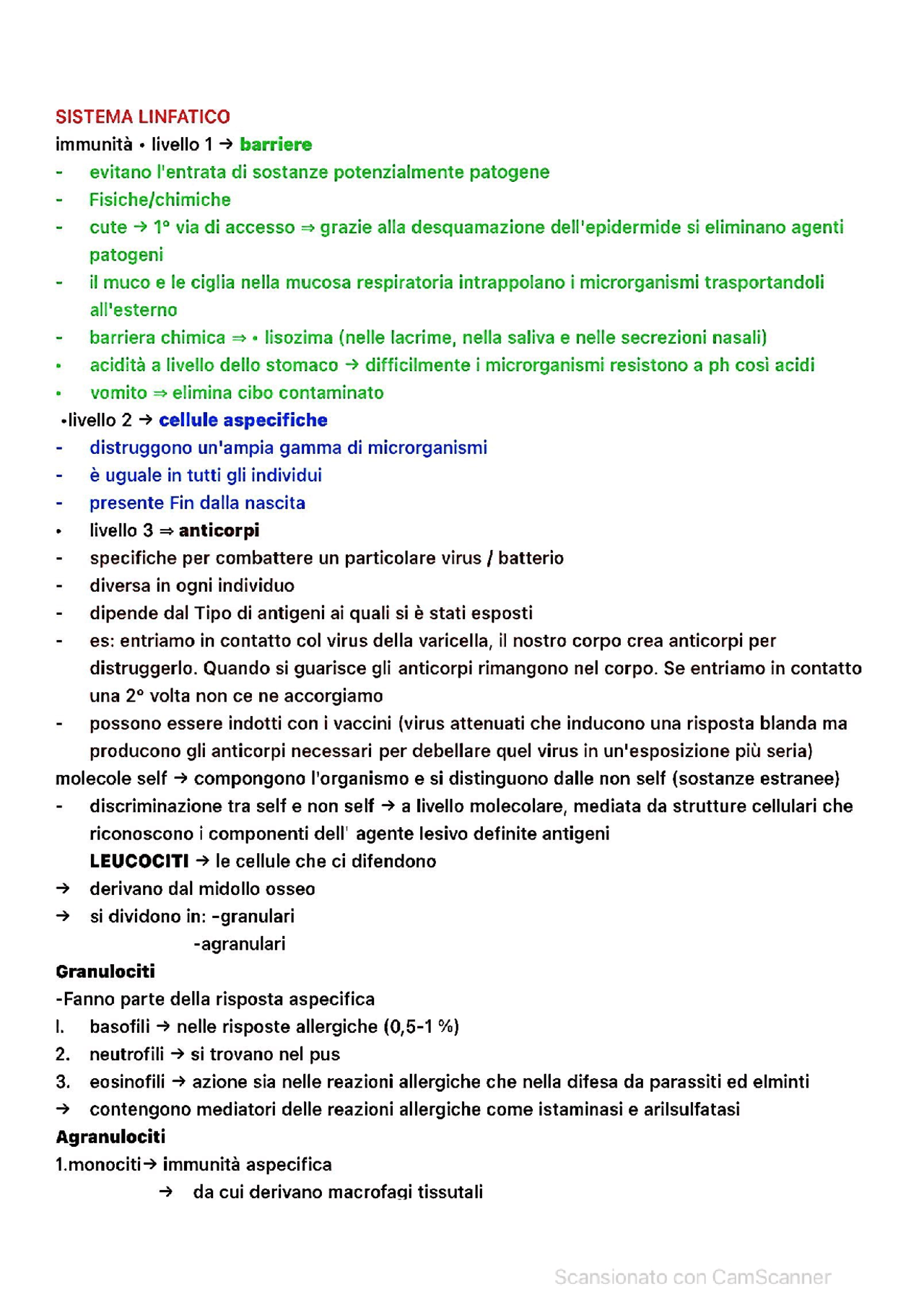 Riassunto Sistema Linfatico Docsity