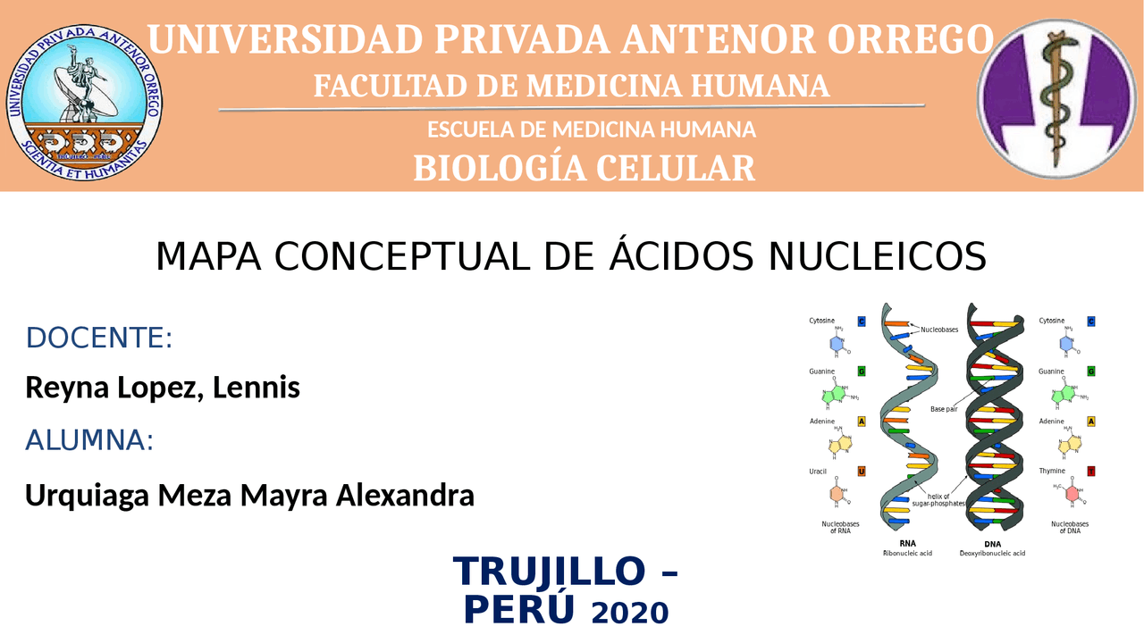 MAPAS DE BIOLOGÍA UPAO COMPLETOS Y LISTOS - Docsity
