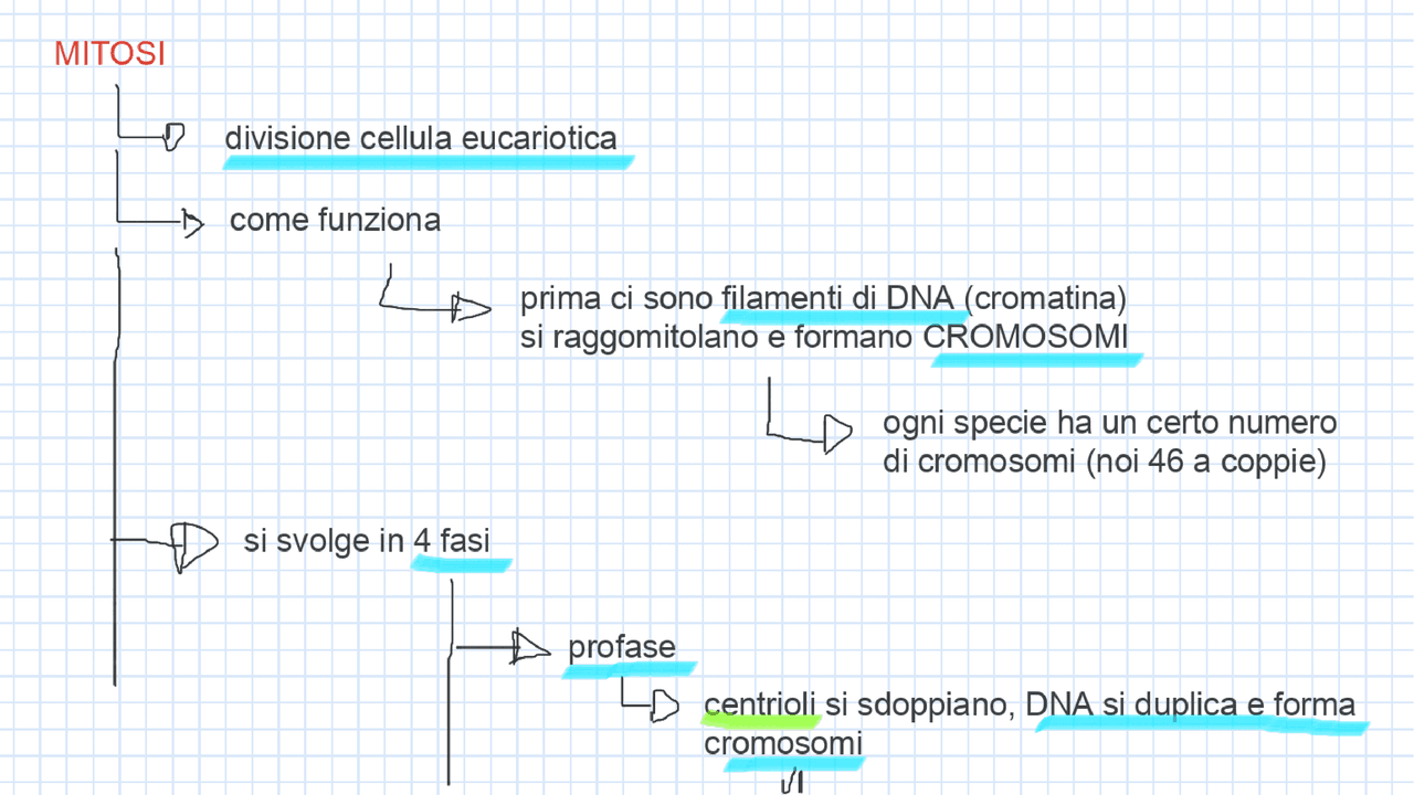 Schemi di scienze cellule e dna - Docsity