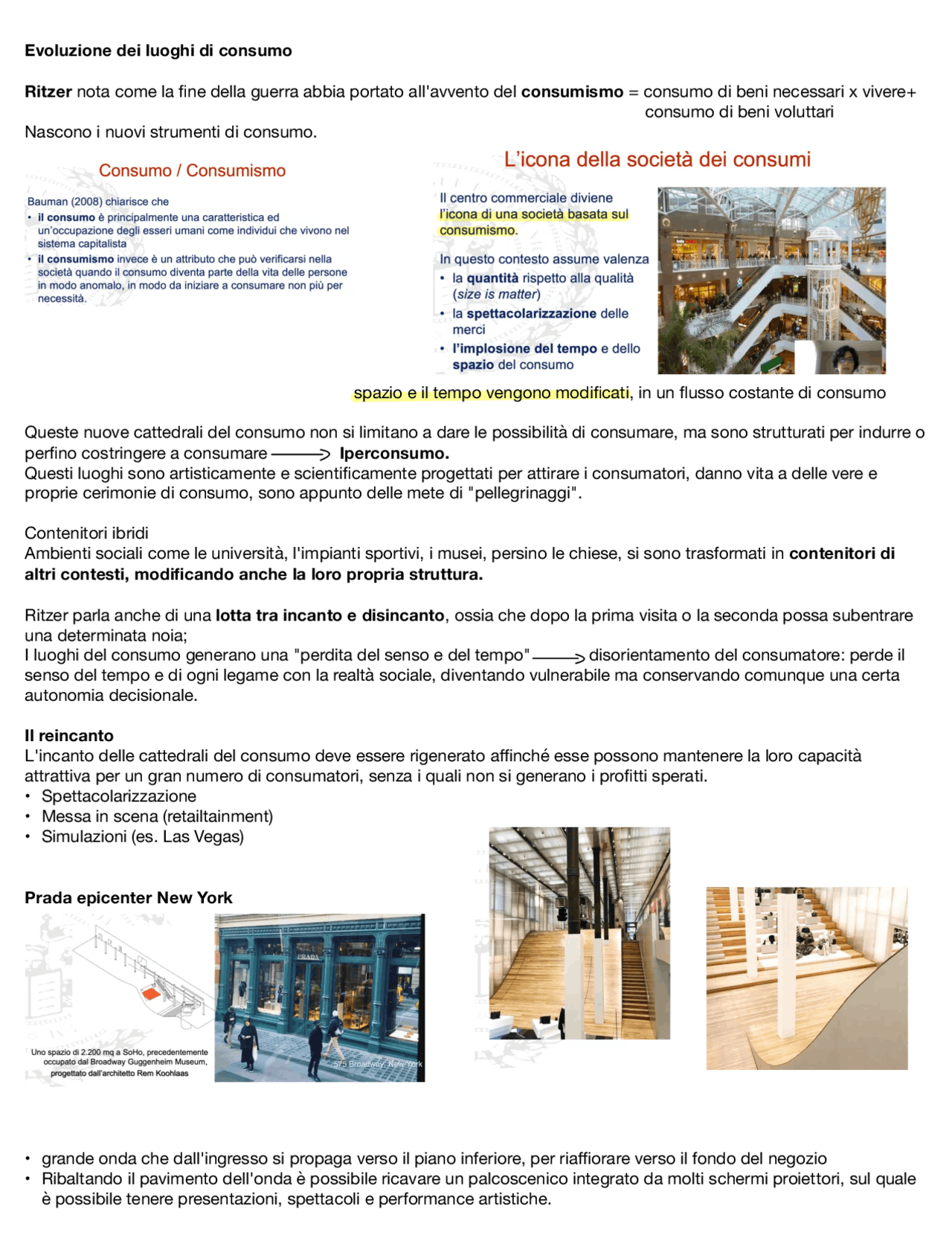 Evoluzione Dei Luoghi Di Consumo Appunti Docsity