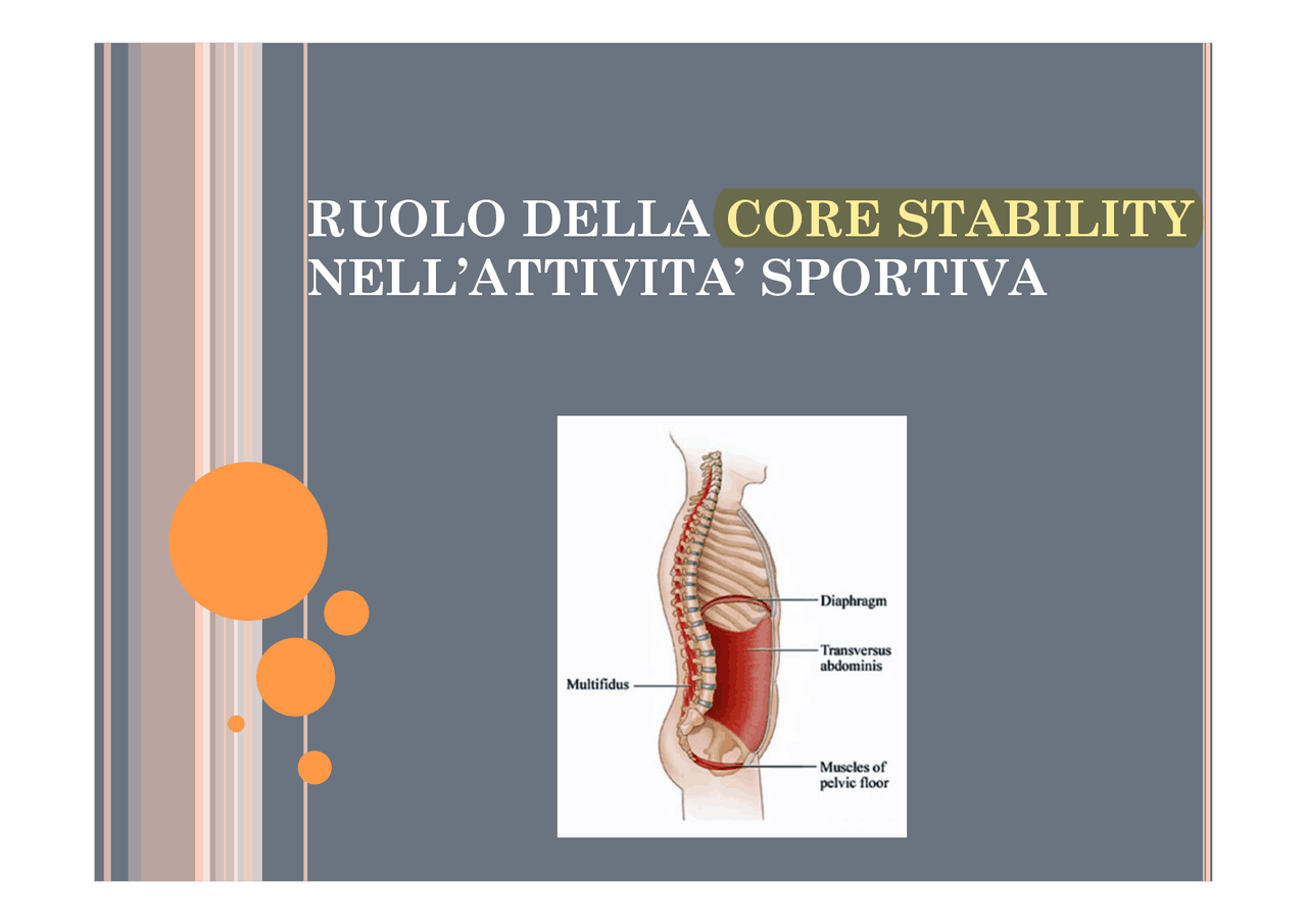 Core stability: DEFINIZIONE E VANTAGGI E PROGRESSIONE DI ALLENAMENTO ...