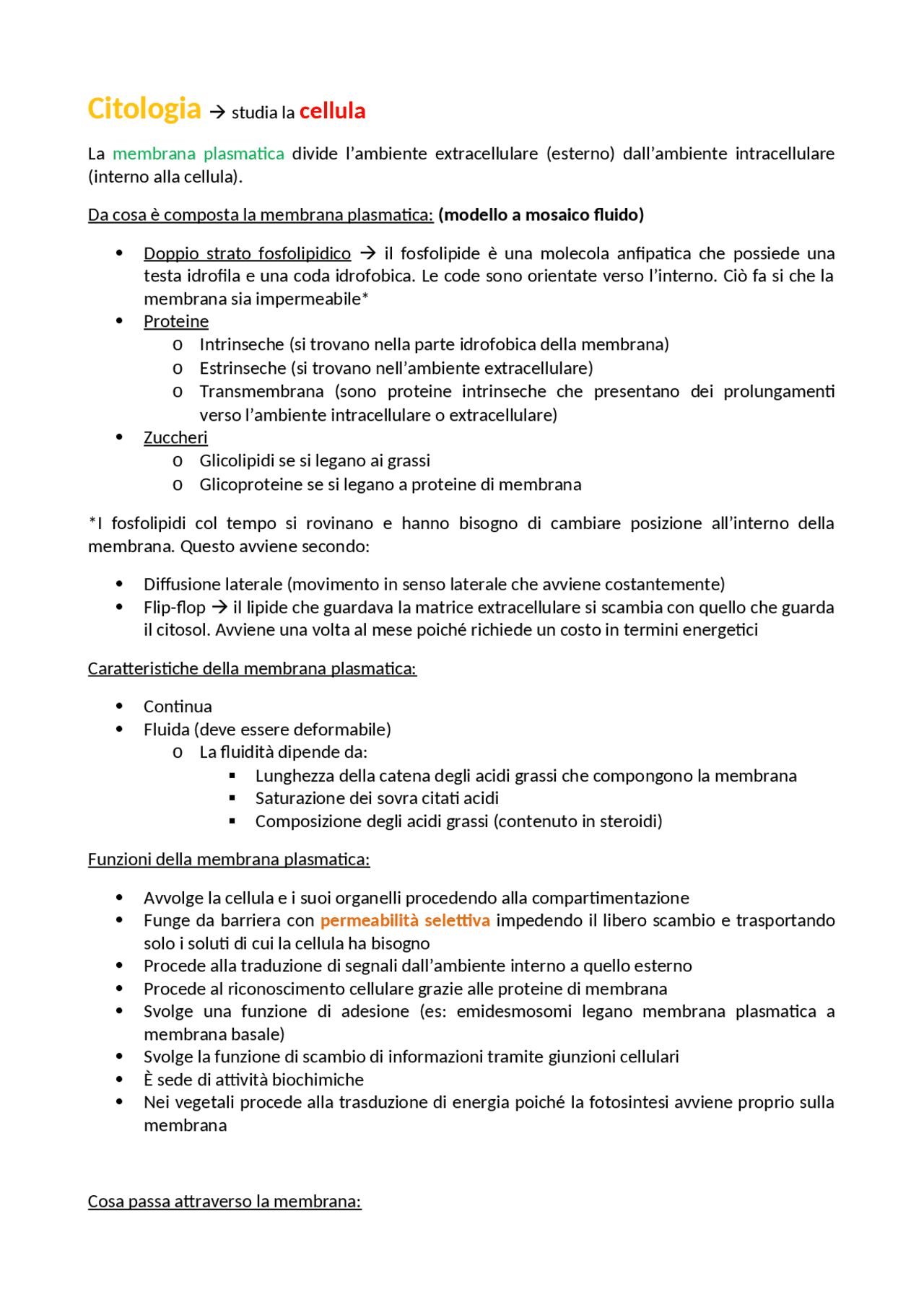 Appunti Di Istologia Docsity