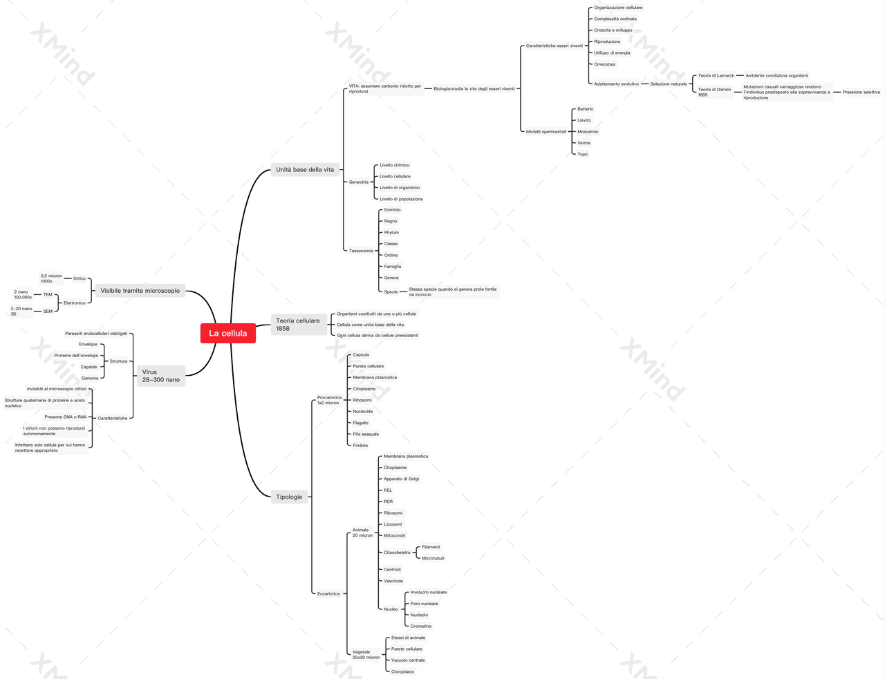 La Cellula Introduzione Alla Biologia Docsity