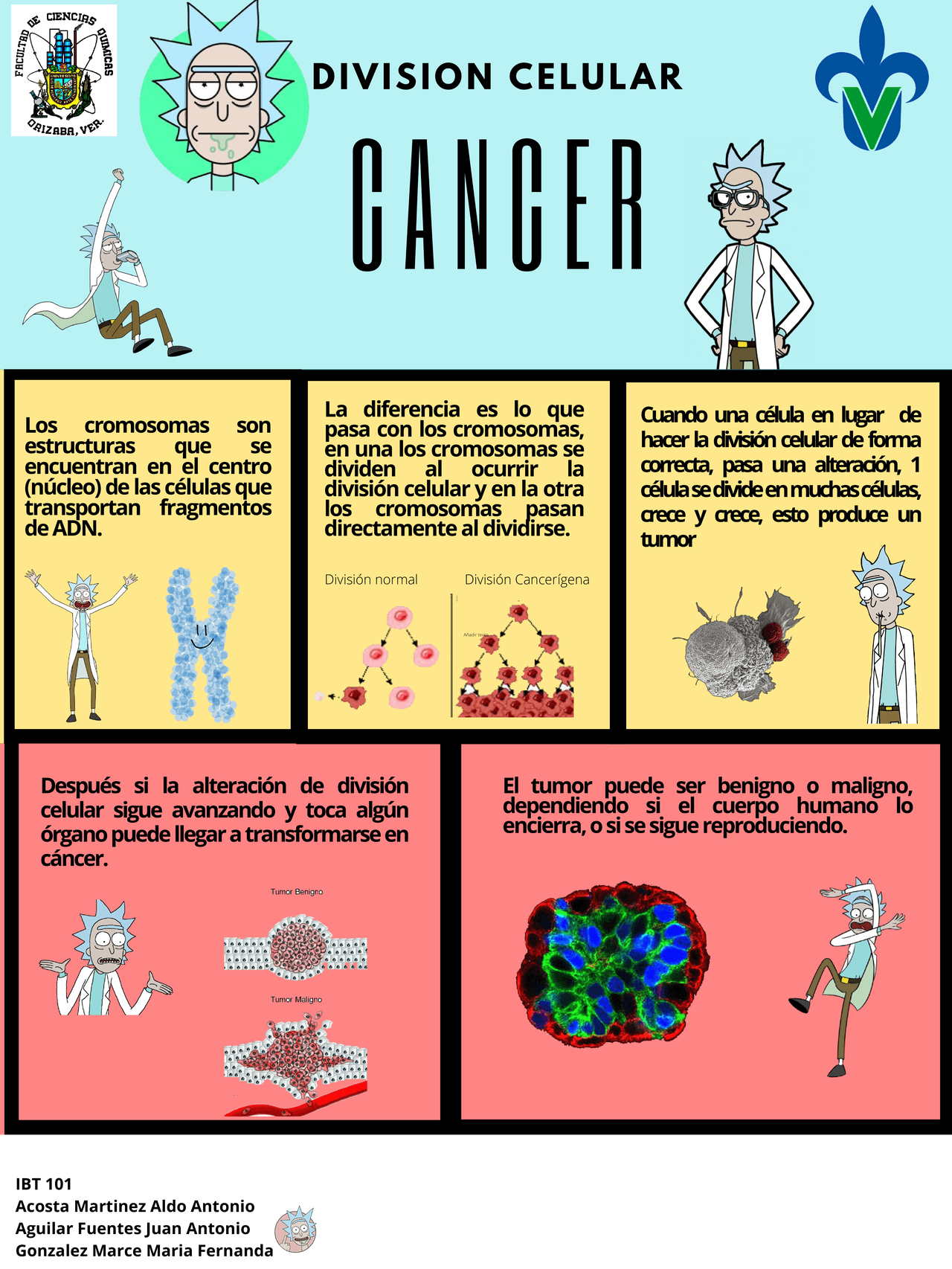 Cartel del cáncer como se origina | Esquemas y mapas conceptuales de ...