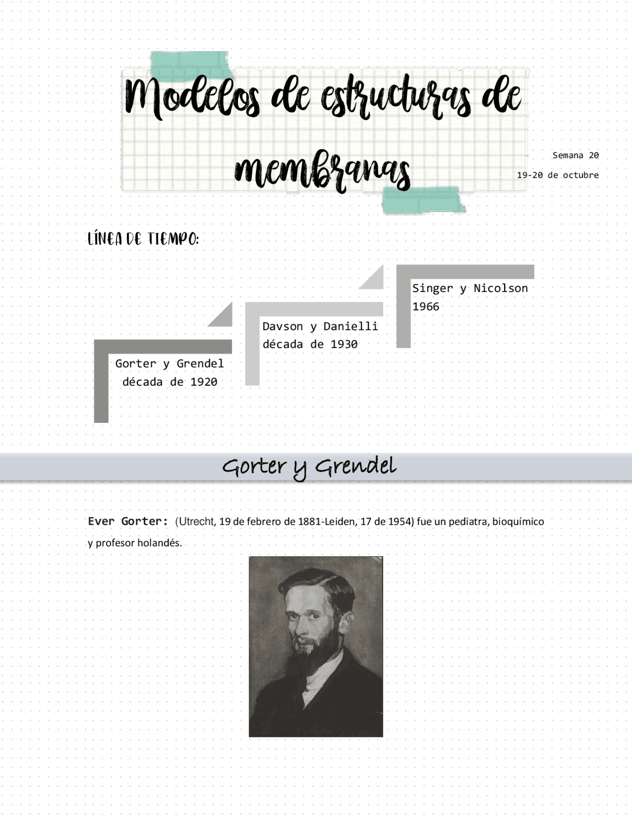 Modelos De Membrana Plasmática Apuntes De Biología Docsity