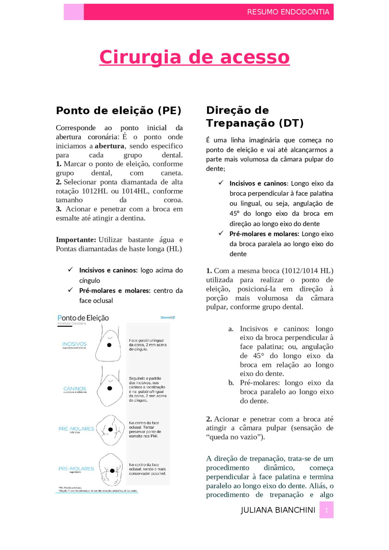 Resumo endodontia Protocolo | Summaries Endodontics | Docsity
