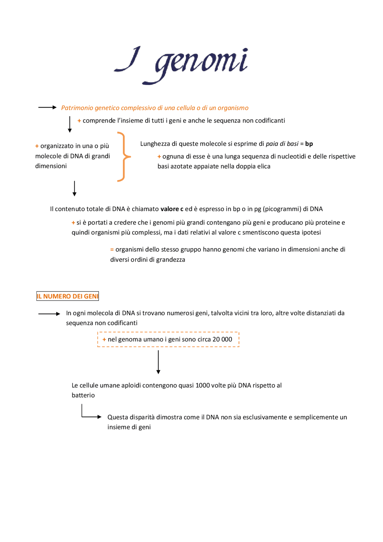 I Genomi Appunti E Schemi Docsity