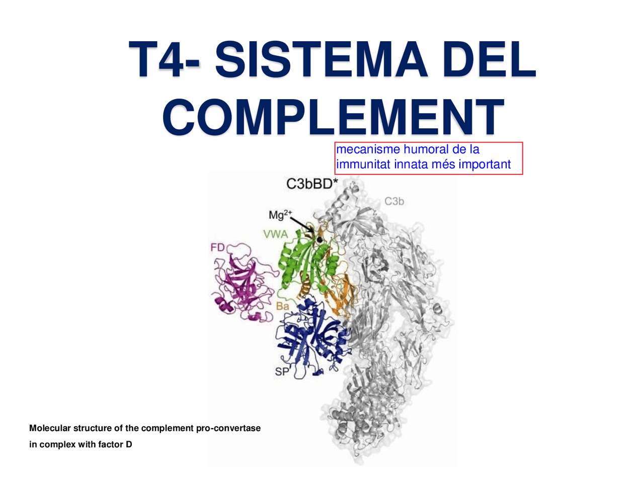 Sistema Del Complemento Docsity