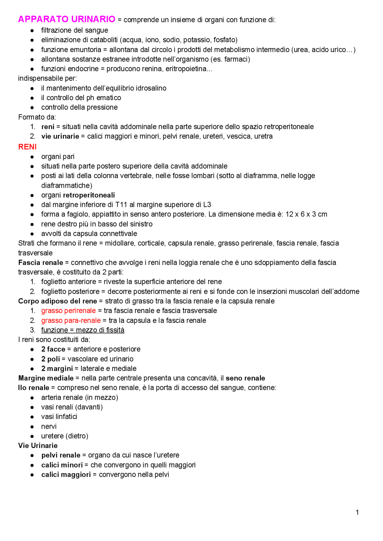 Apparato Urinario Esame Anatomia Appunti Di Anatomia Docsity