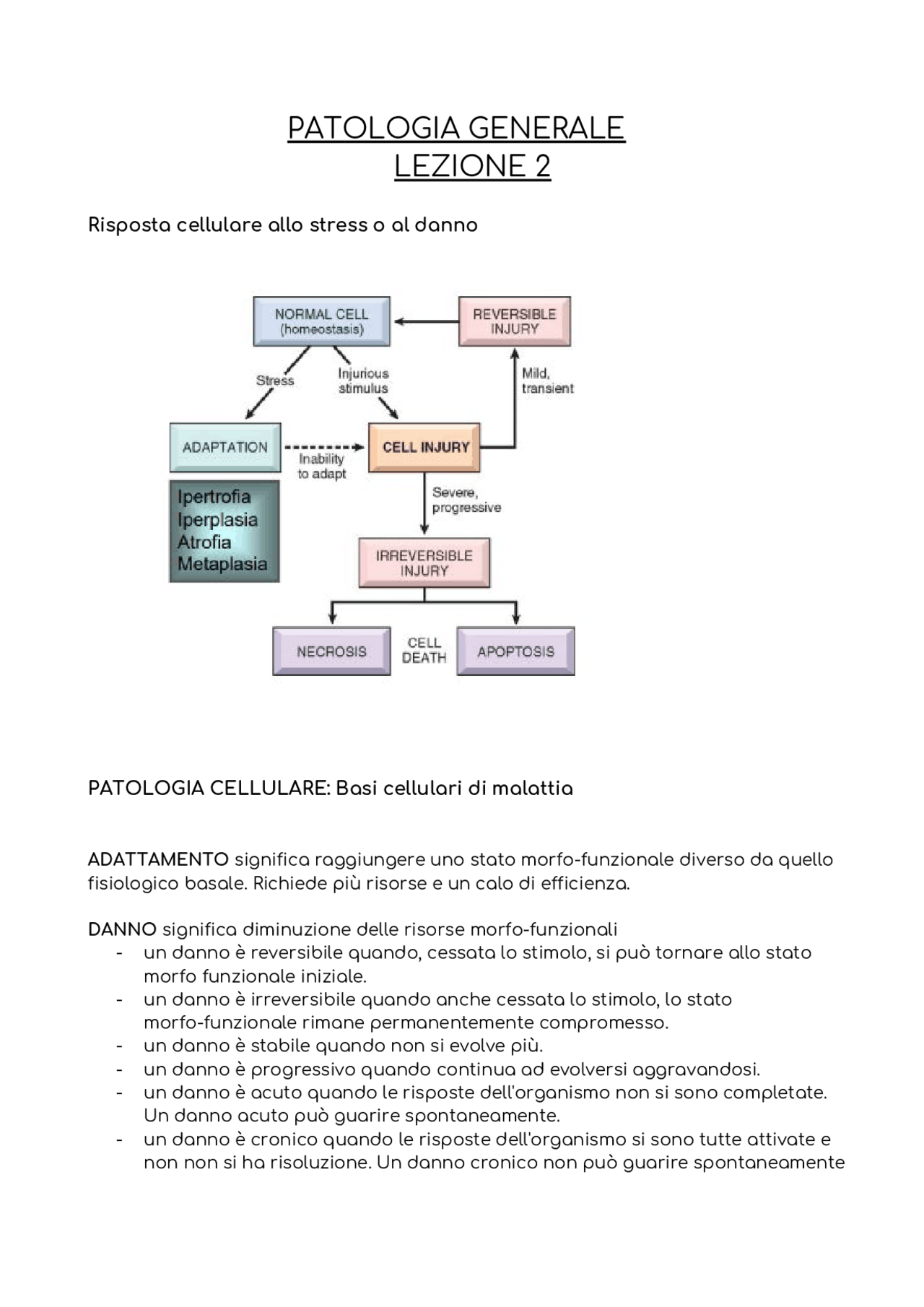 Appunti Di Patologia Generale Pt2 Docsity