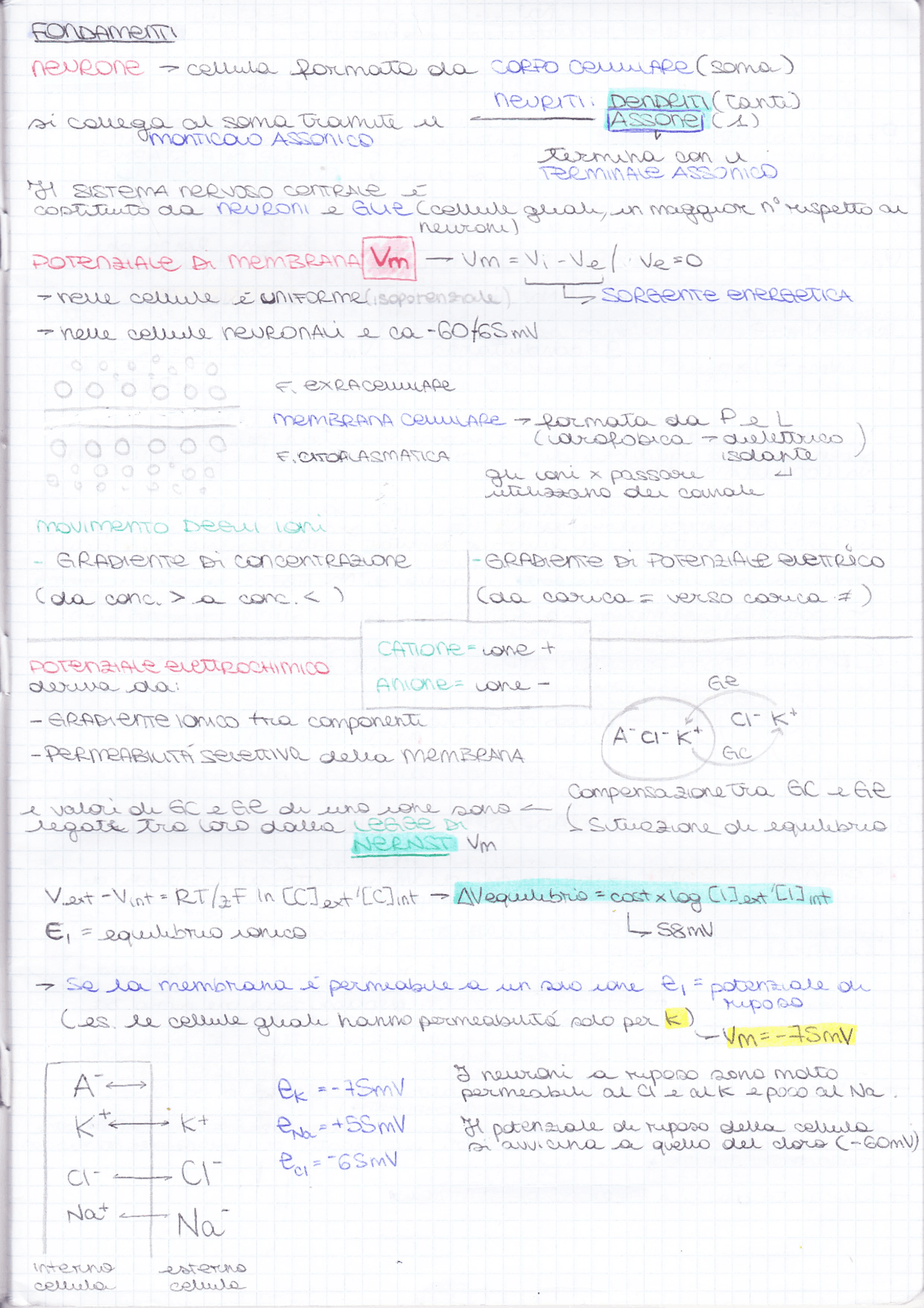 Appunti Fondamenti Primo Modulo Docsity