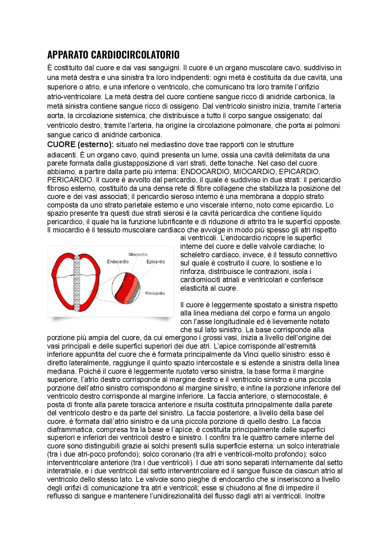 Apparato Cardiocircolatorio Docsity