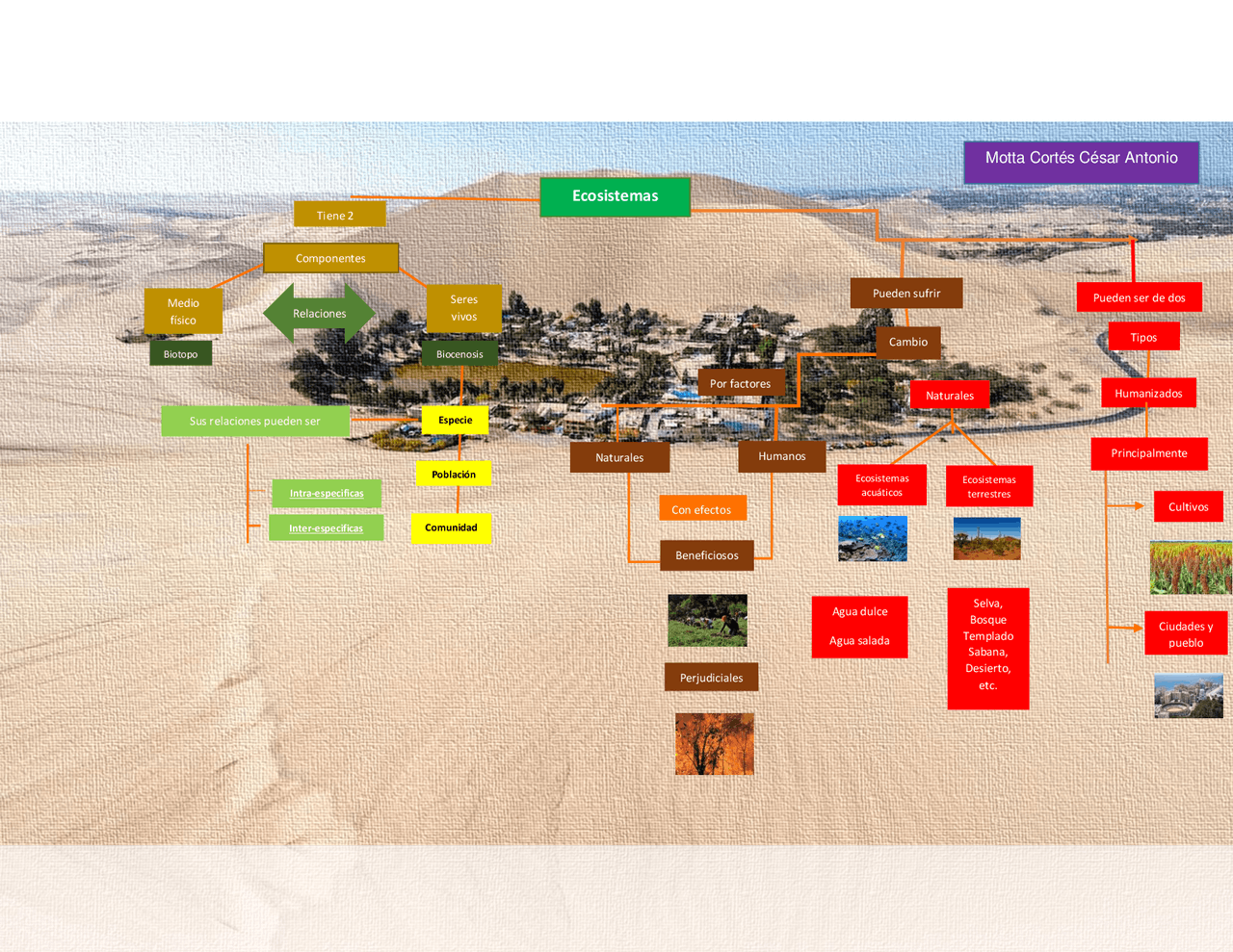 Ecosistema Conceptos Claros Docsity
