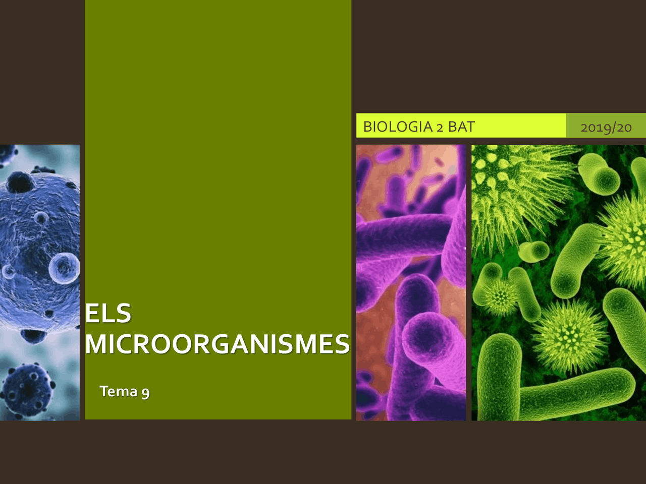 Els Microorganismes Tema 9 Docsity