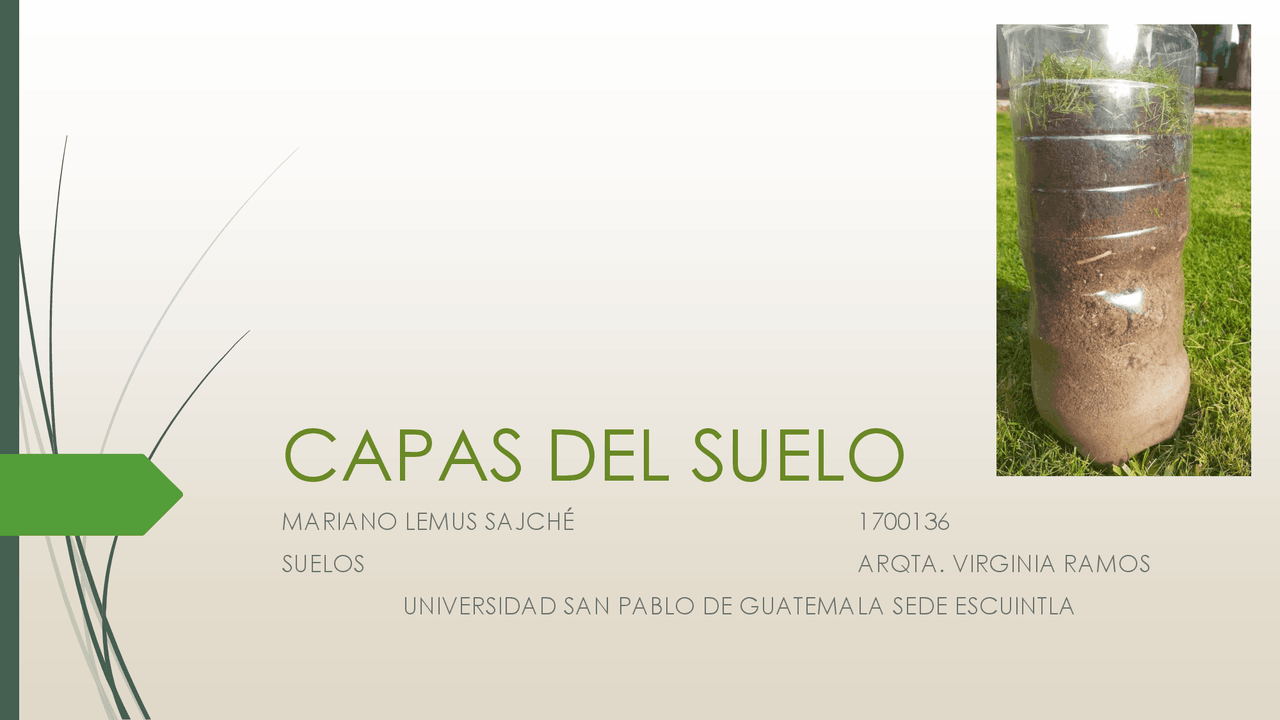 LAS CAPAS DEL SUELO DEL MUNDO TERRESTRE - Docsity