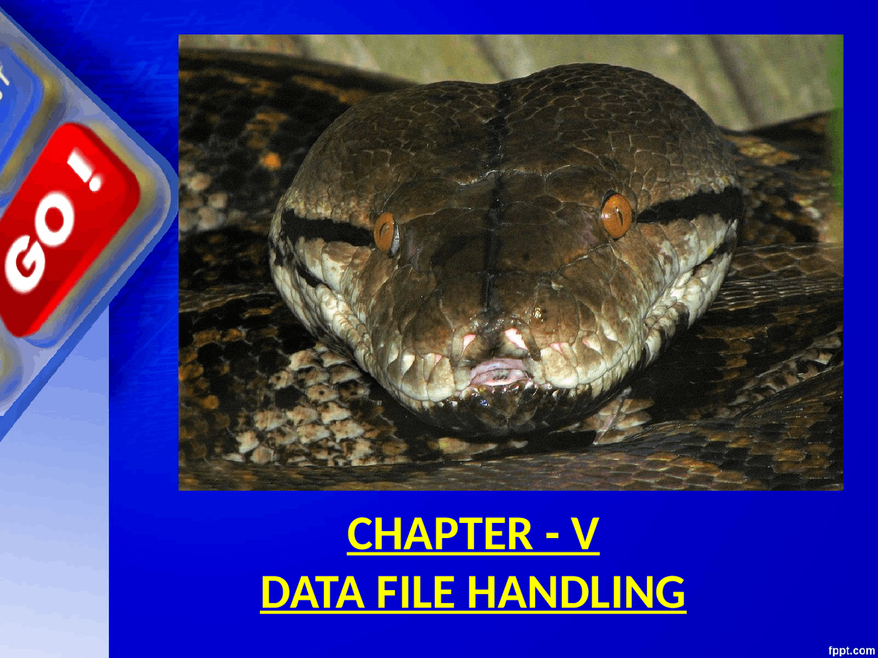 Data file handling | Study notes Computer science - Docsity