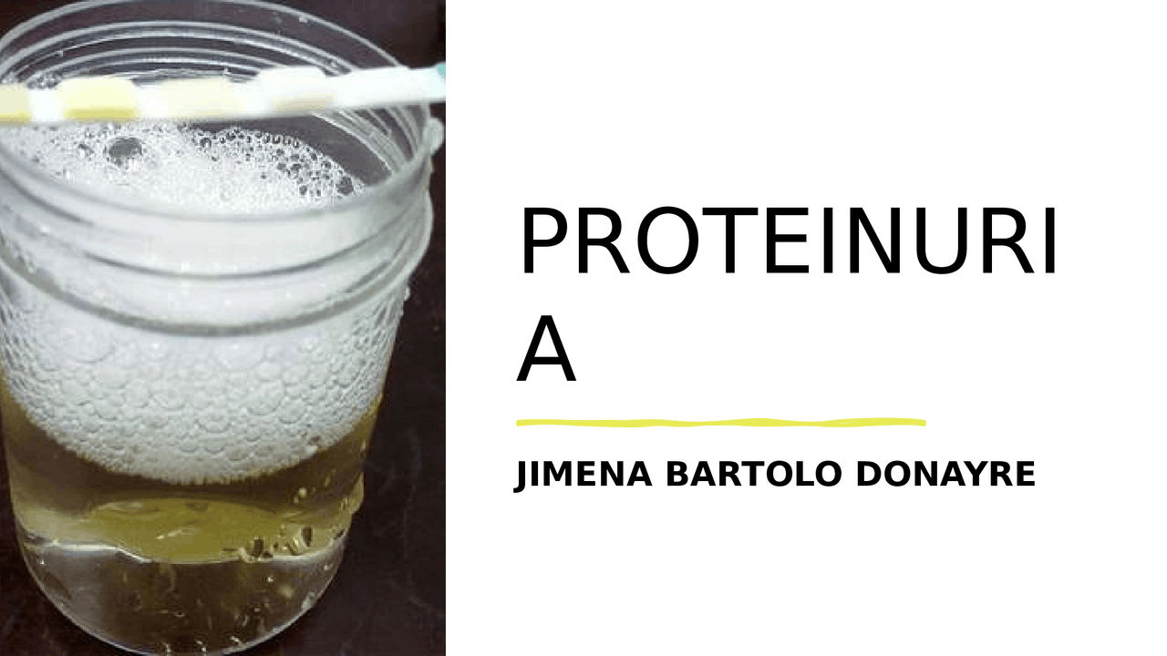 Proteinuria Y Hematuria Semiología Docsity