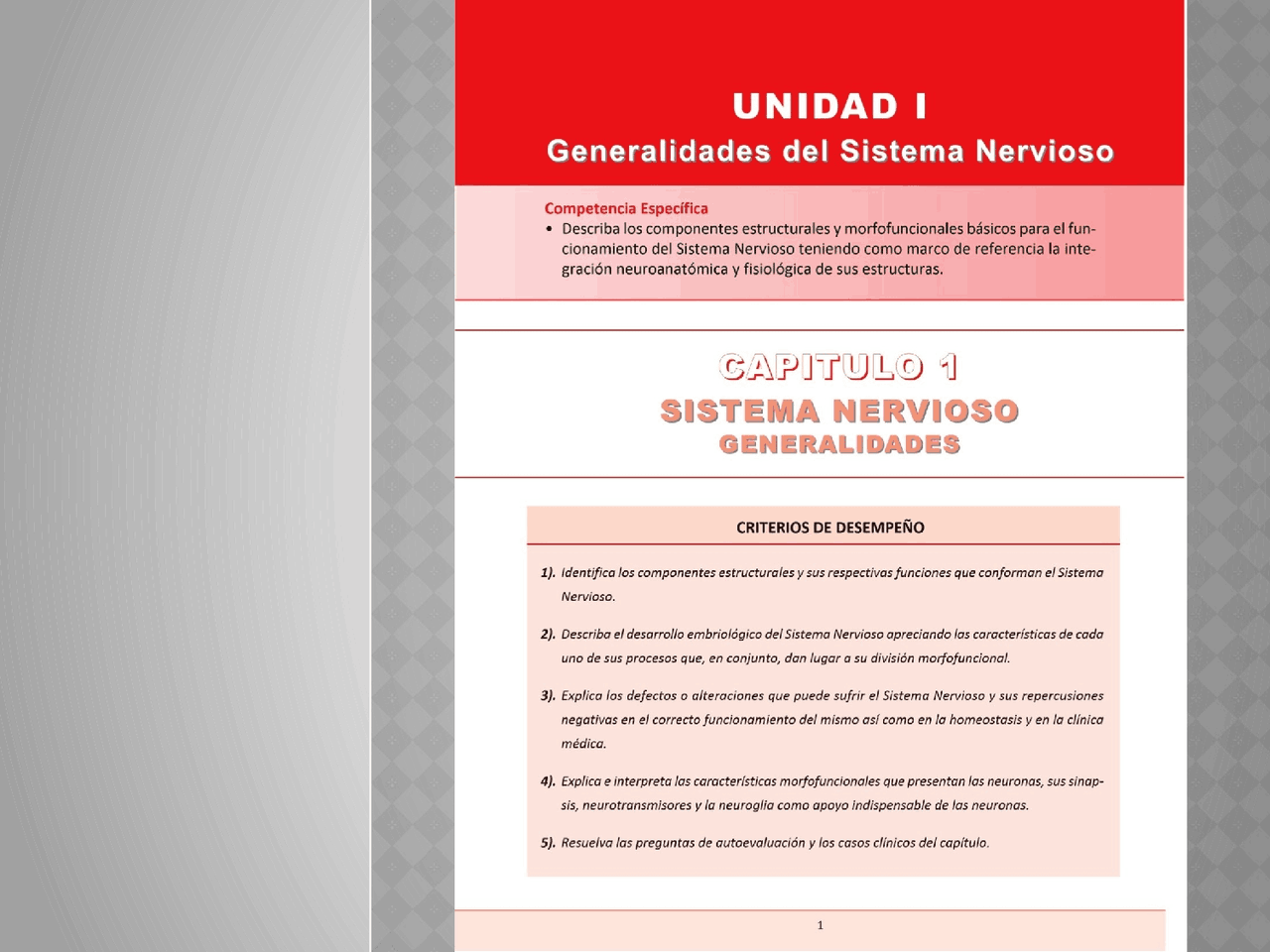 Neuroanatomia Sistema Nervioso Generalidades Docsity