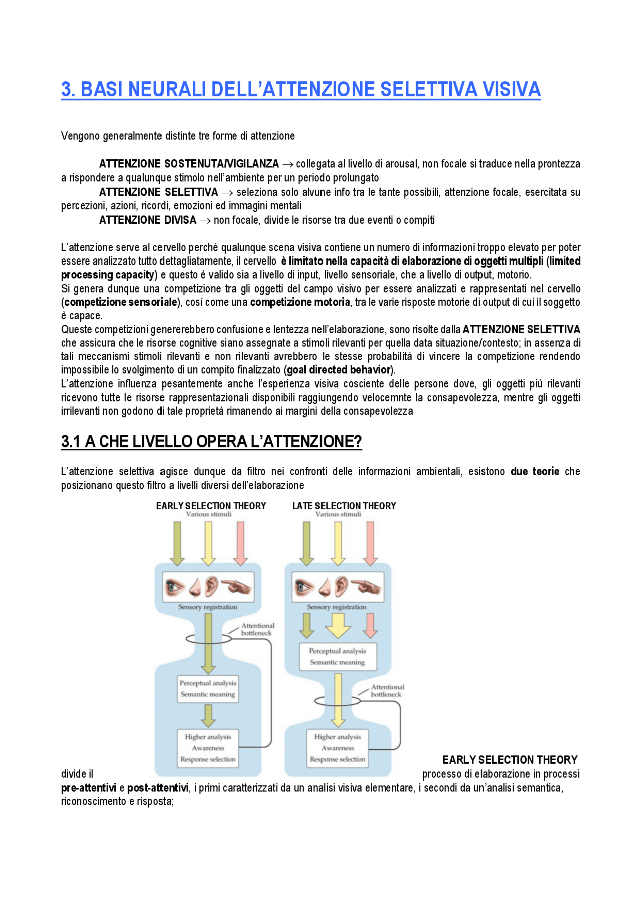 Neuroscienze Cognitive E Sociali Modulo Gdp Docsity