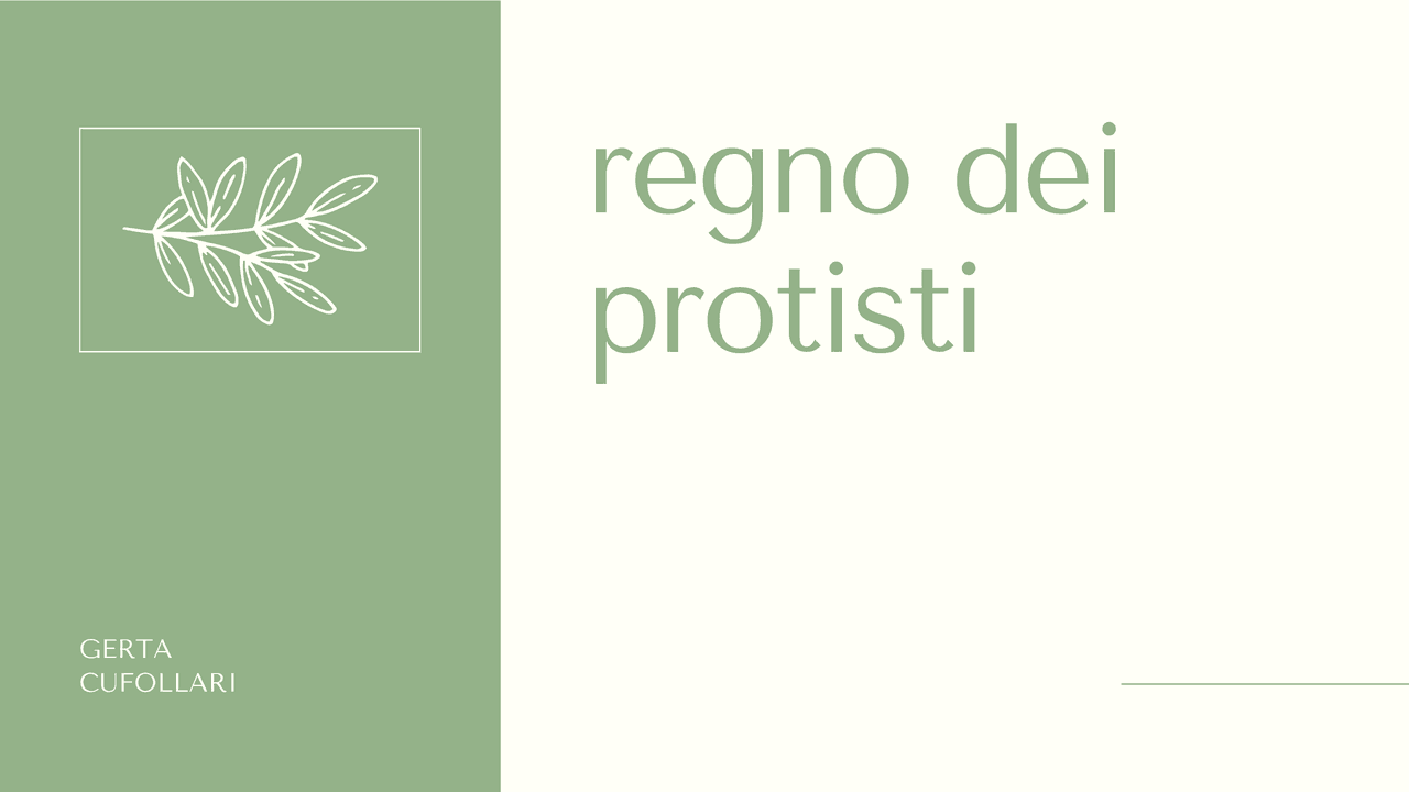 Regno Dei Protisti Protozoi Docsity
