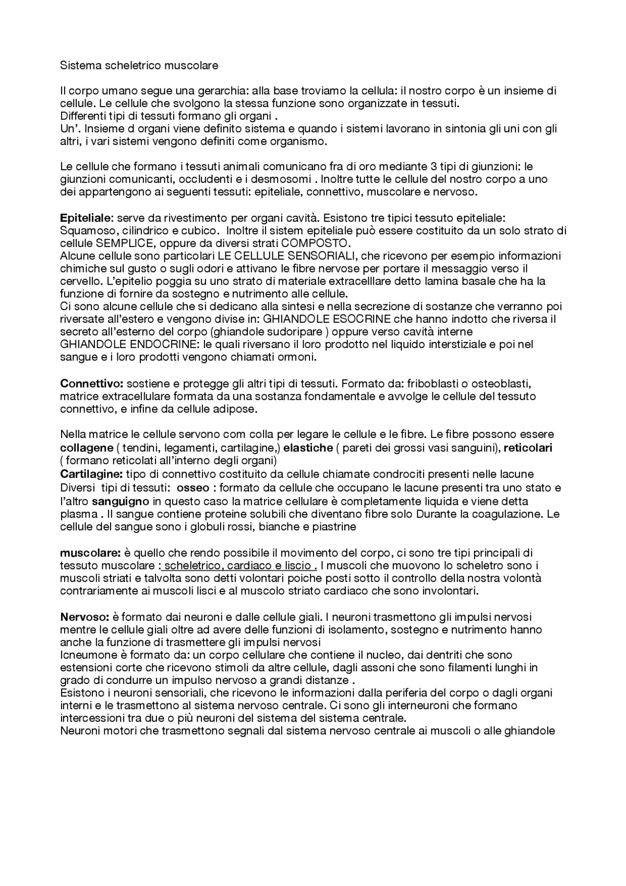 Il Sistema Epiteliale Docsity