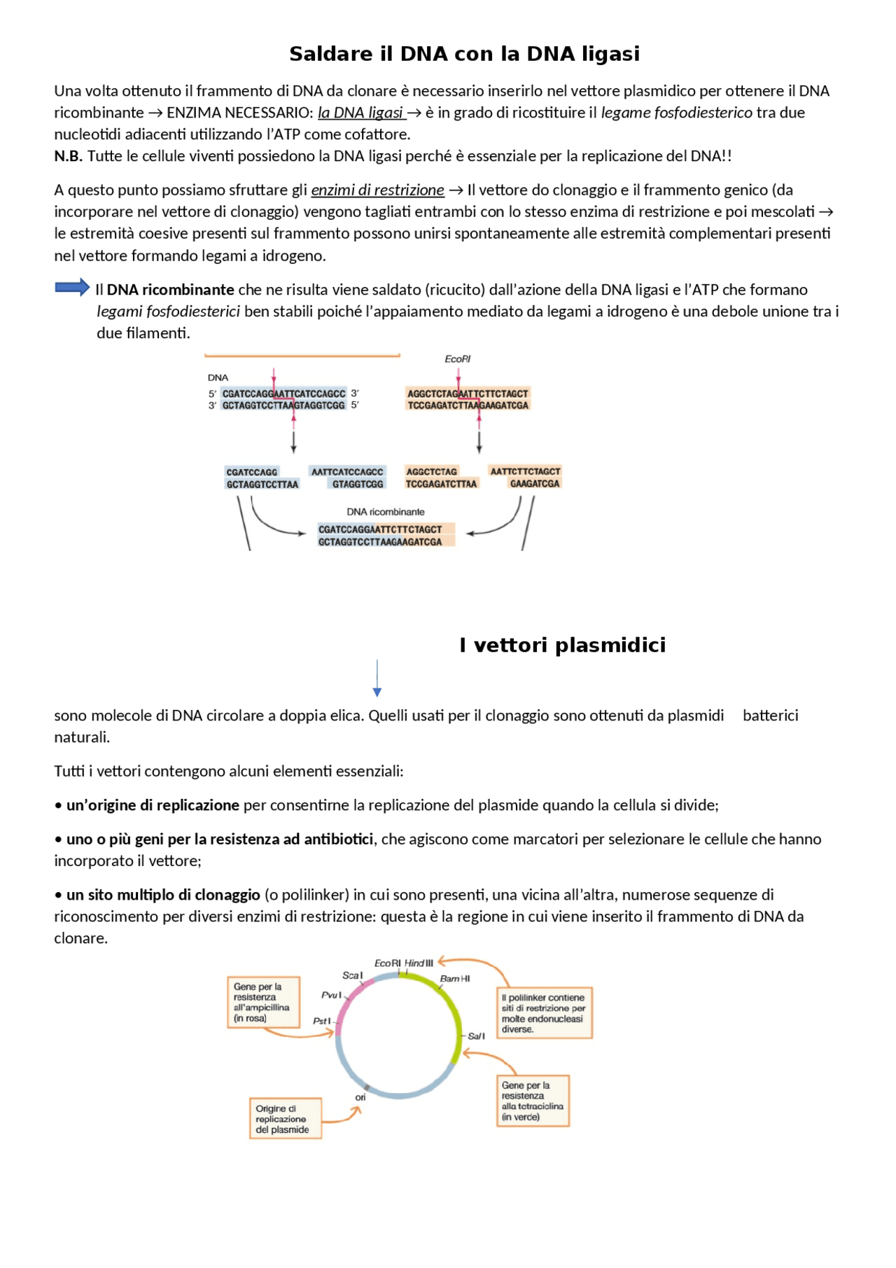 Le Biotecnologie Moderne Docsity