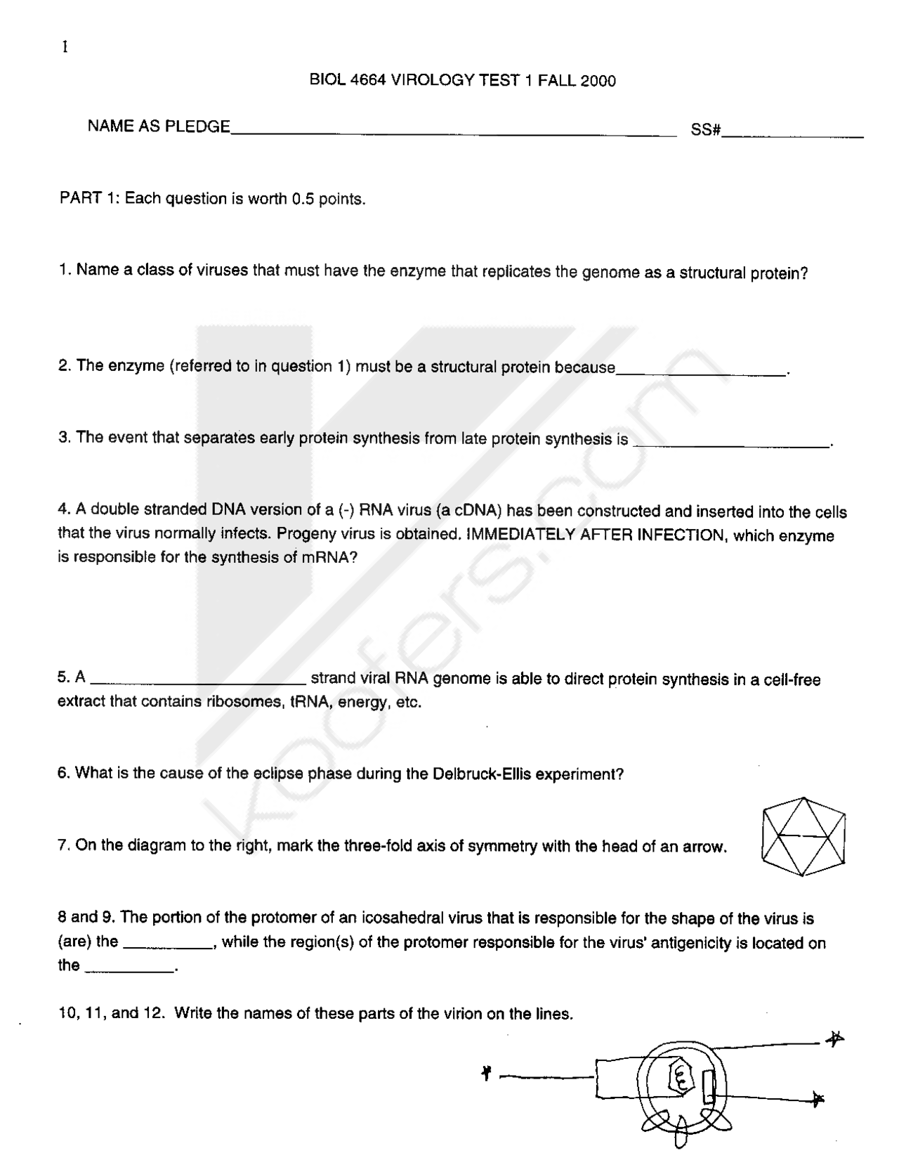 Questions for Exam 1 - Virology - Fall 2000 | BIOL 4664 | Exams Virology | Docsity