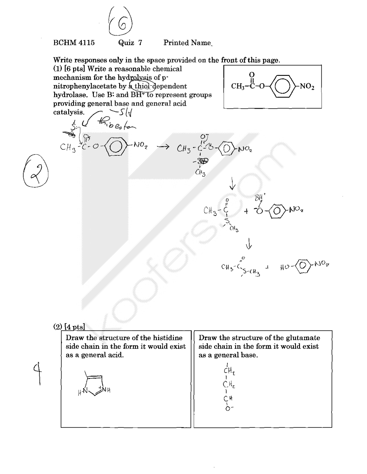 Quiz 7 Solution General Biochemistry Bchm 4115 Docsity