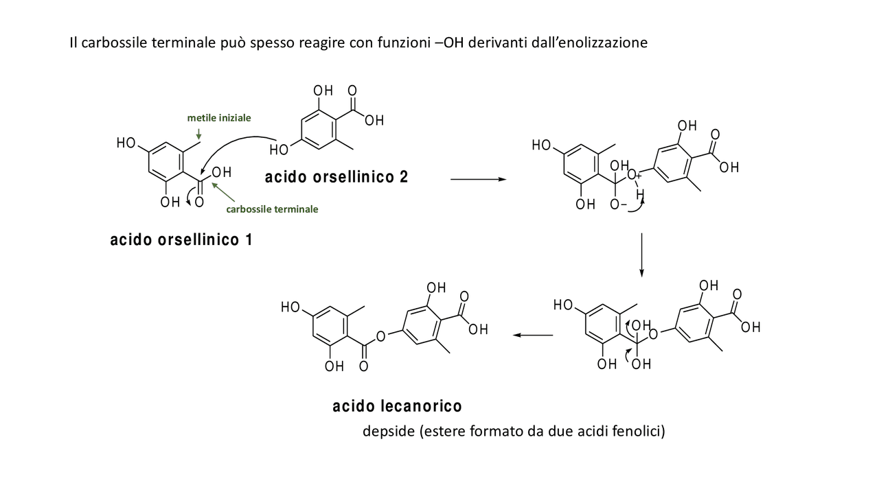 Sintesi dell'acetato - Docsity