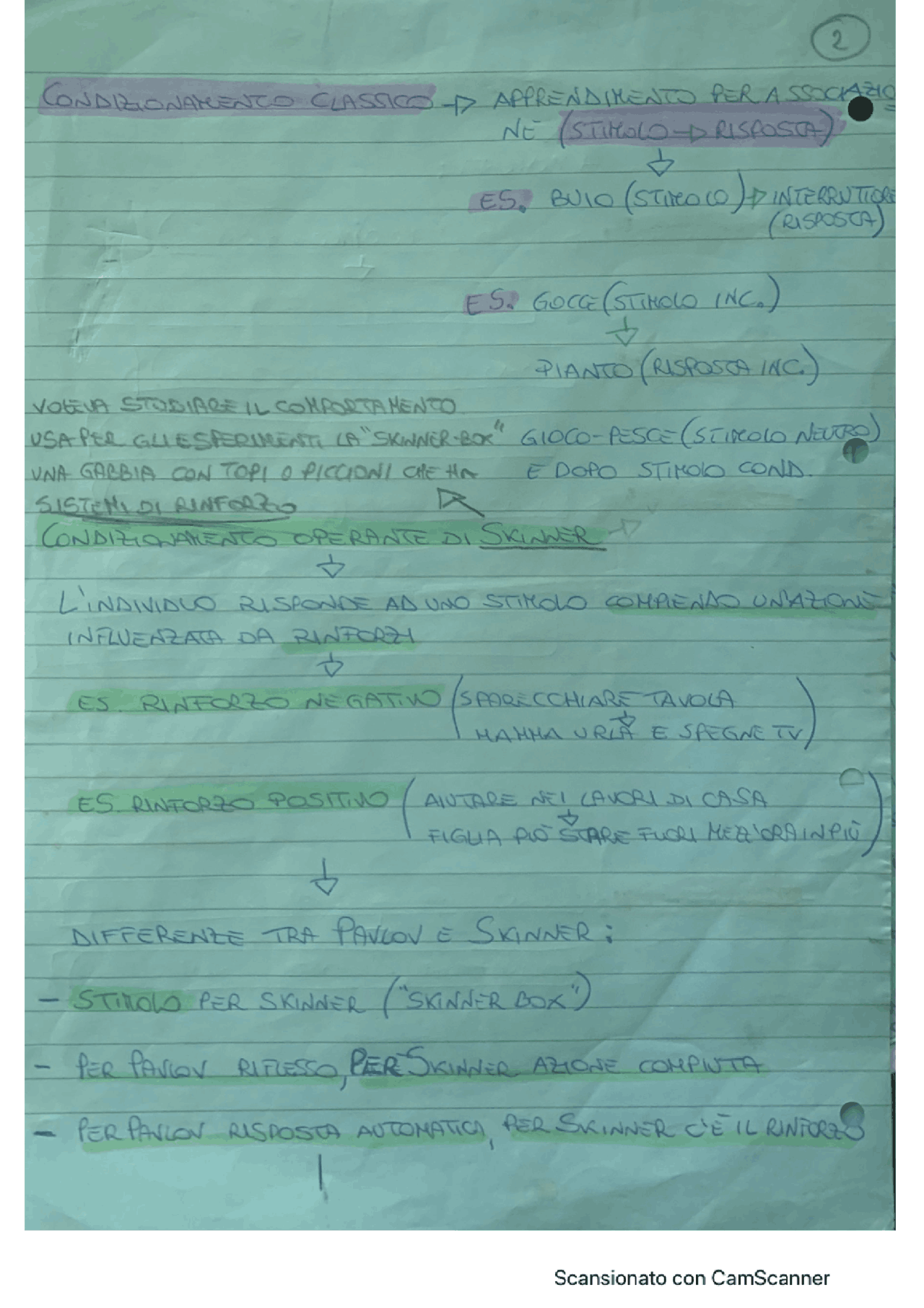 Condizionamento Classico E Operante Di Skinner Docsity