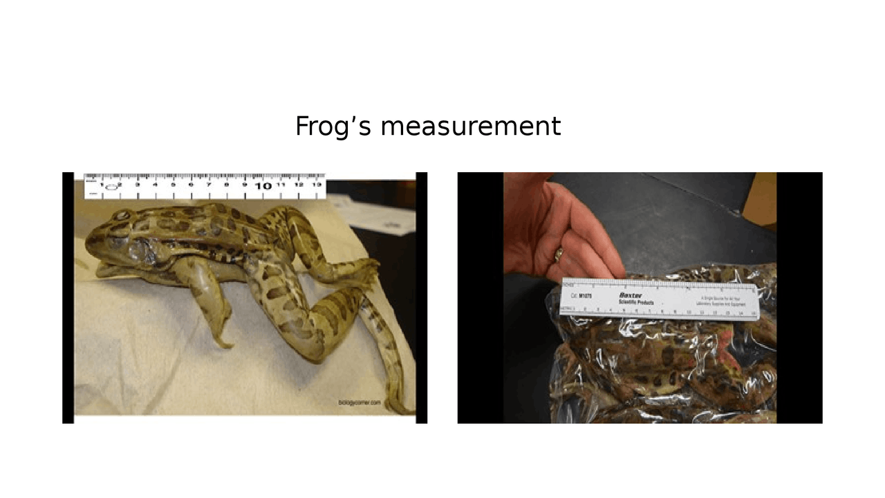 Frog's measurement and parts - Docsity