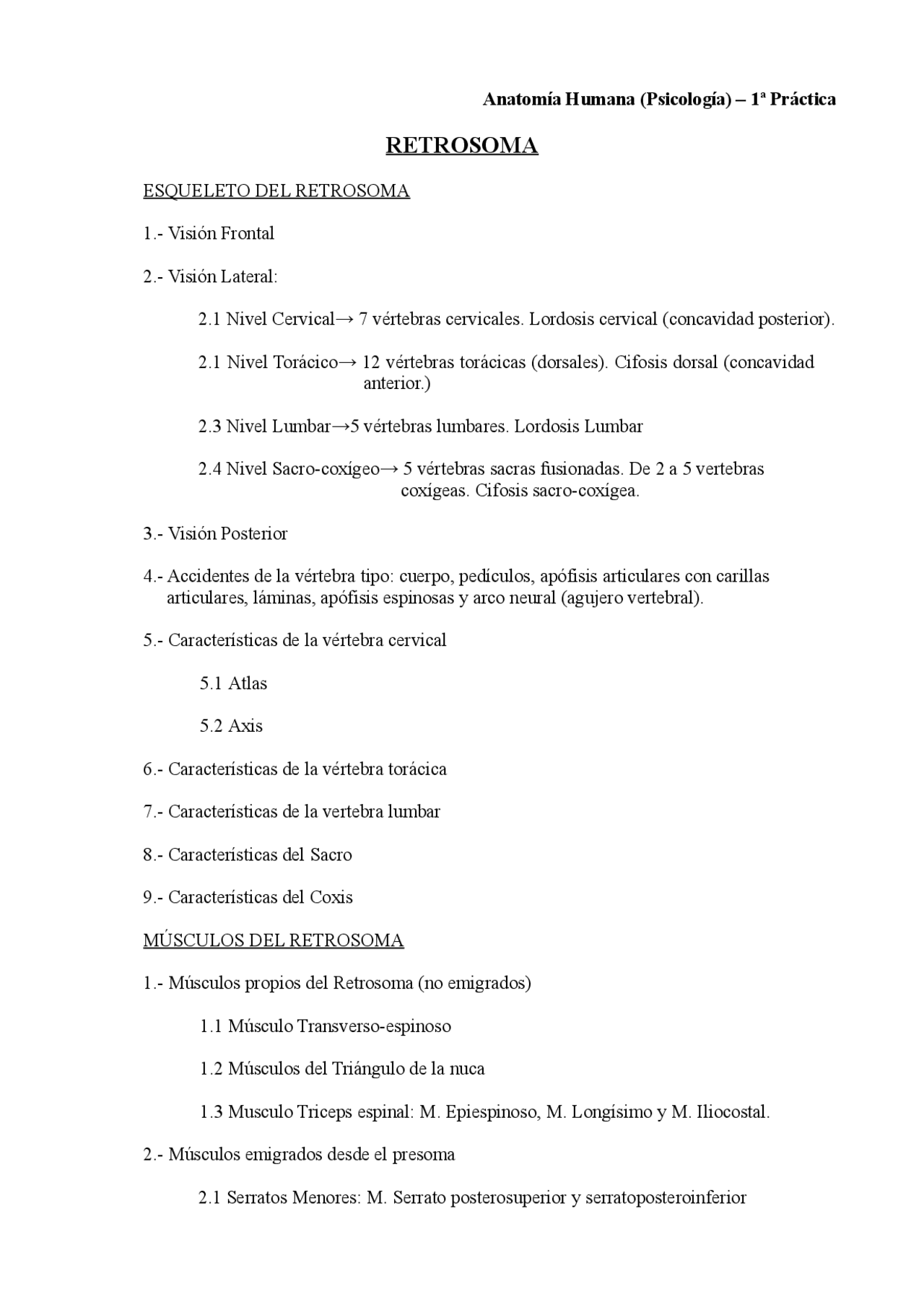 Prácticas Anatomía Humana Docsity
