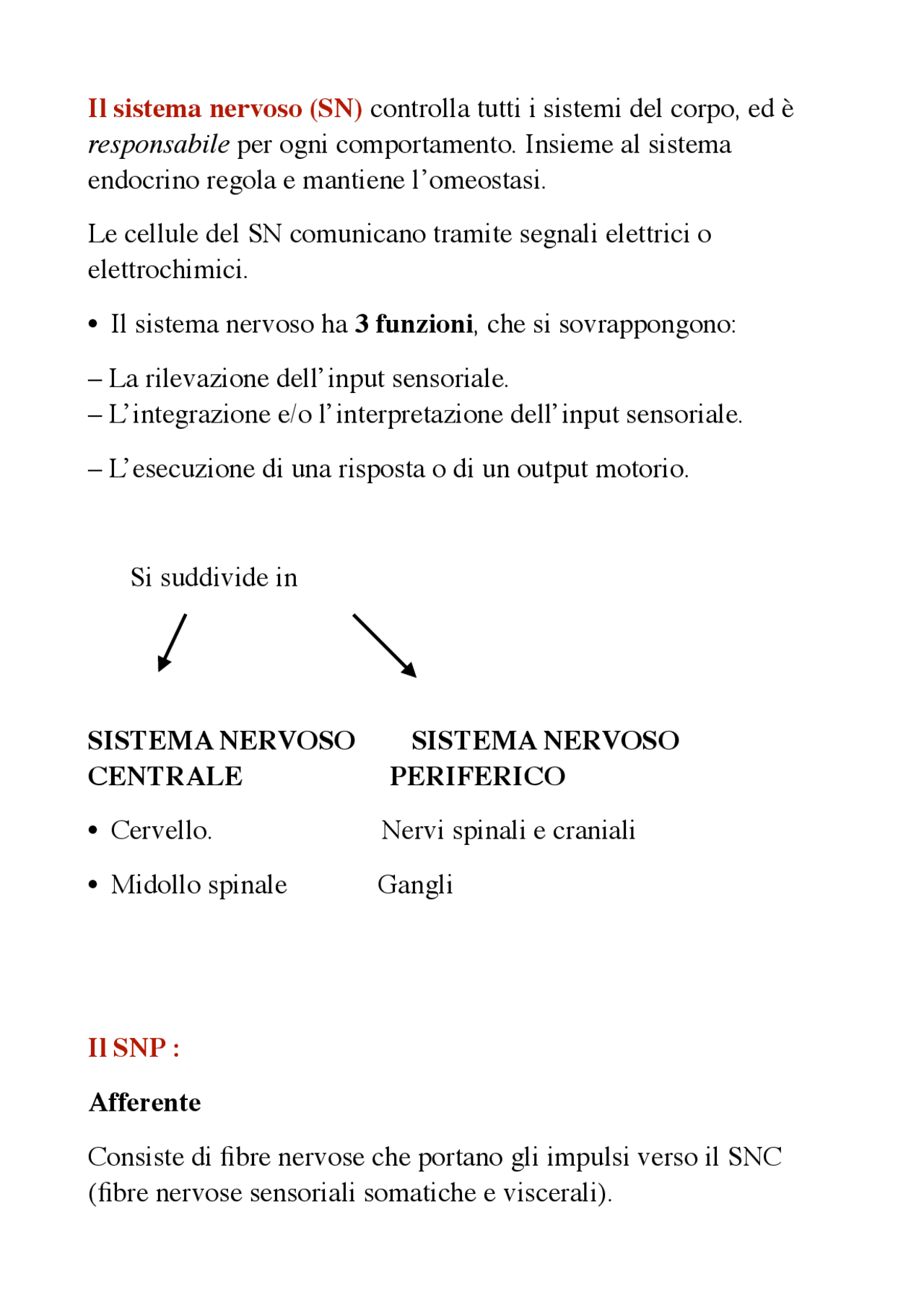 Neuroscienze Cognitive Docsity