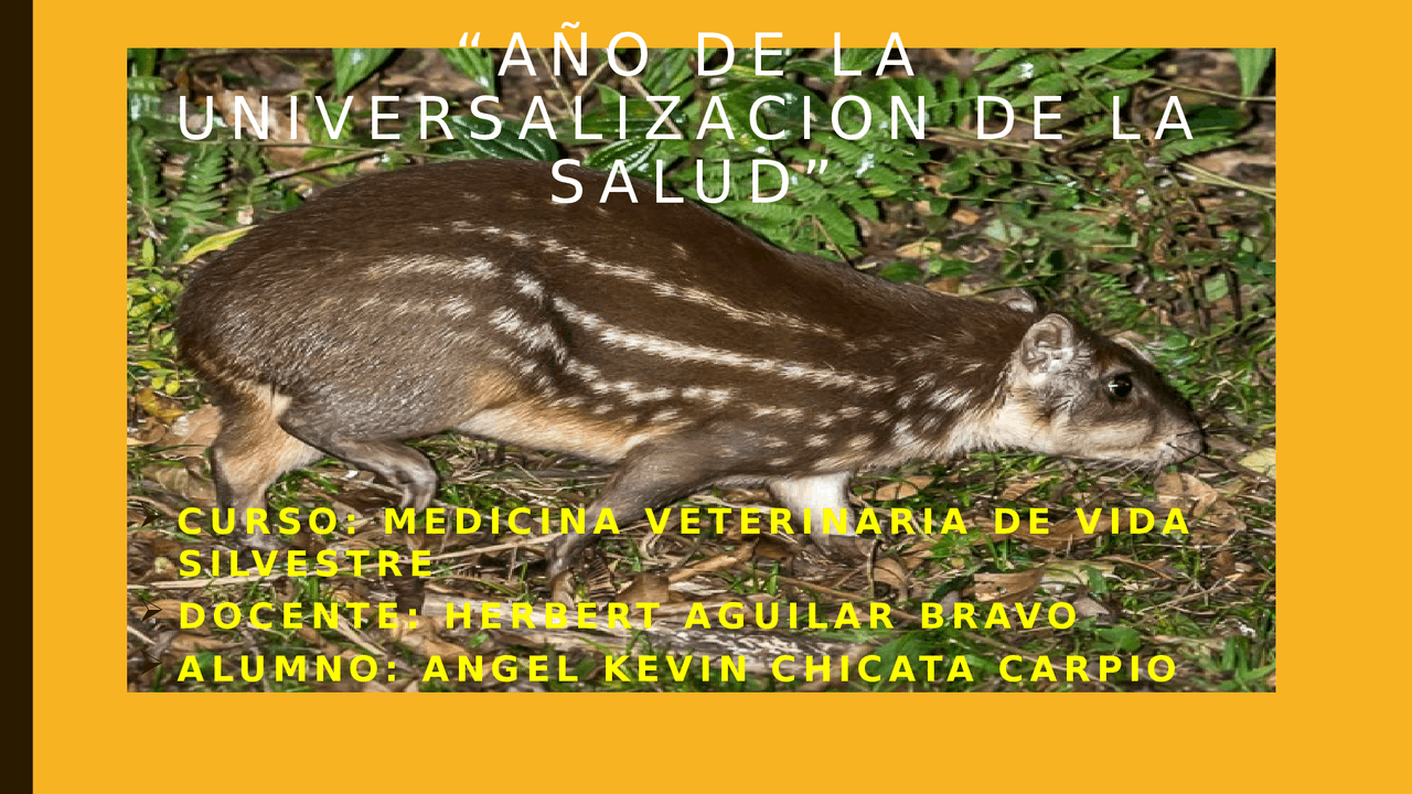 Exposición del picuro - Docsity