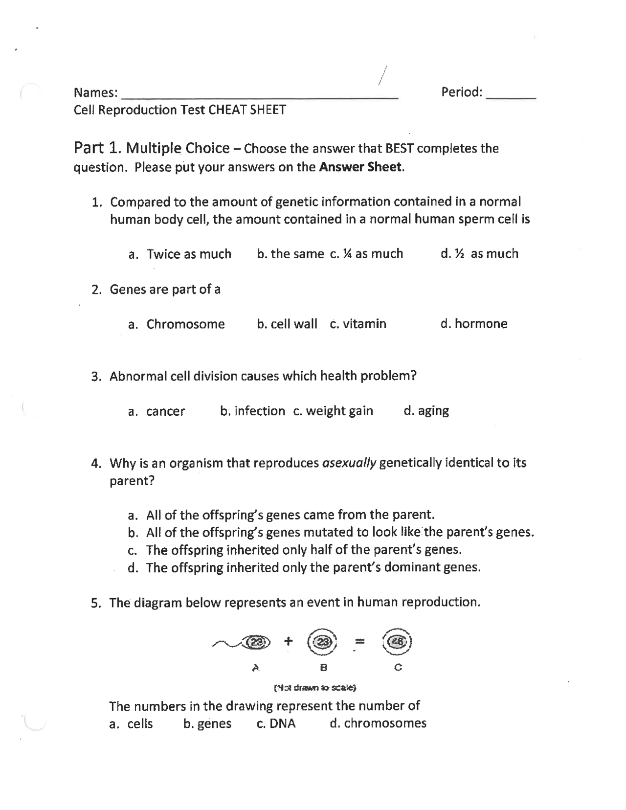 Cell Reproduction Test Cheat Sheet | Cheat Sheet Cell Biology | Docsity